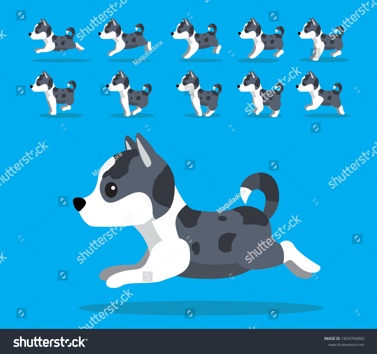 Animal Animation Sequence Koolie Cartoon Vector Stock Vector (Royalty ...