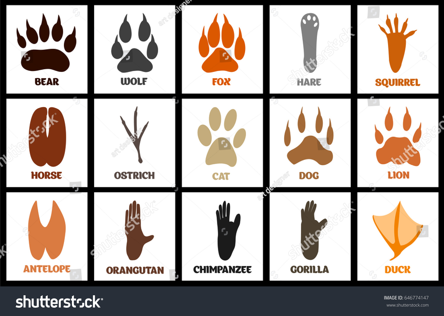 621 Chimpanzee paw Images, Stock Photos & Vectors | Shutterstock