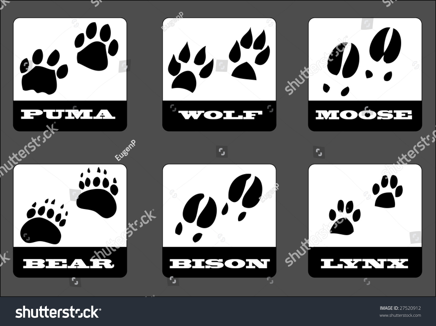 Animal Footprints Vector 库存矢量图（免版税）27520912 | Shutterstock