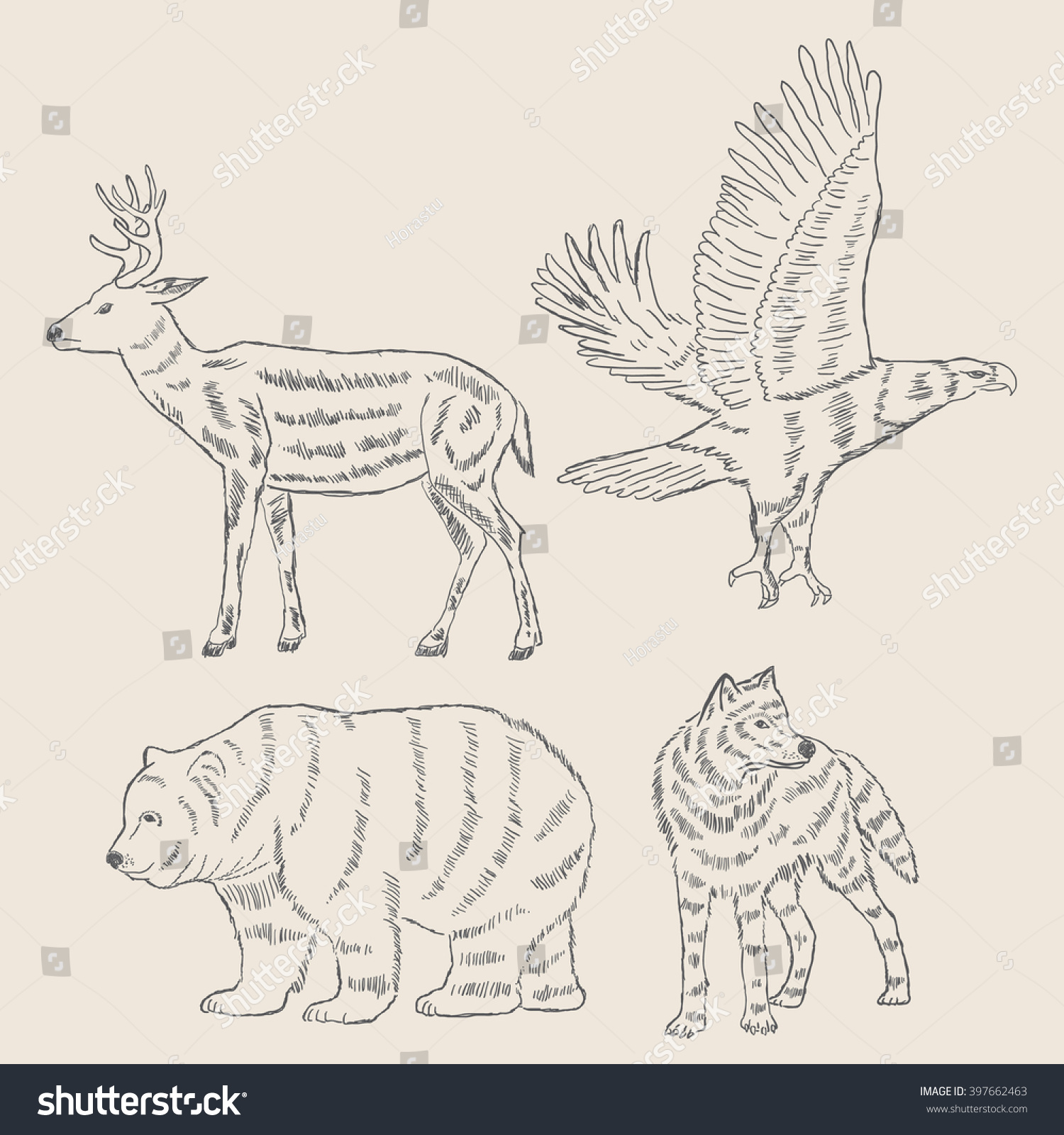 Animal Hand Drawing Stock Vector (Royalty Free) 397662463