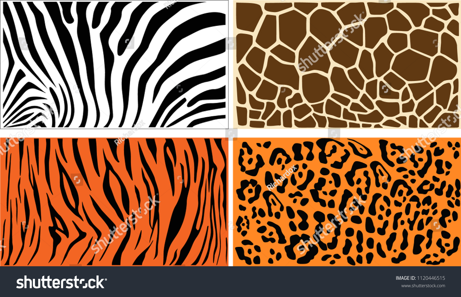 1 Textura cebra Images, Stock Photos & Vectors | Shutterstock