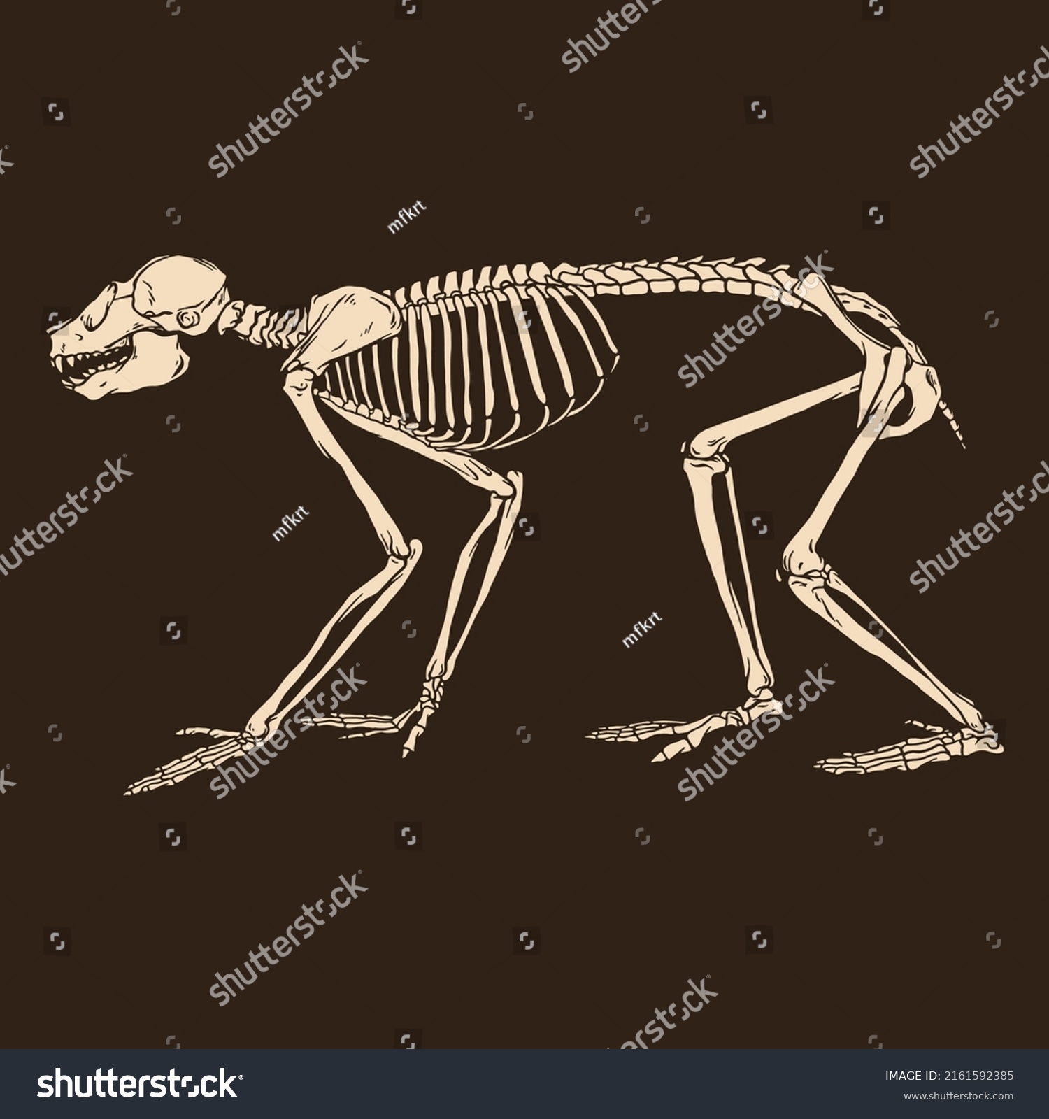 1,831 Monkey bones Images, Stock Photos & Vectors | Shutterstock