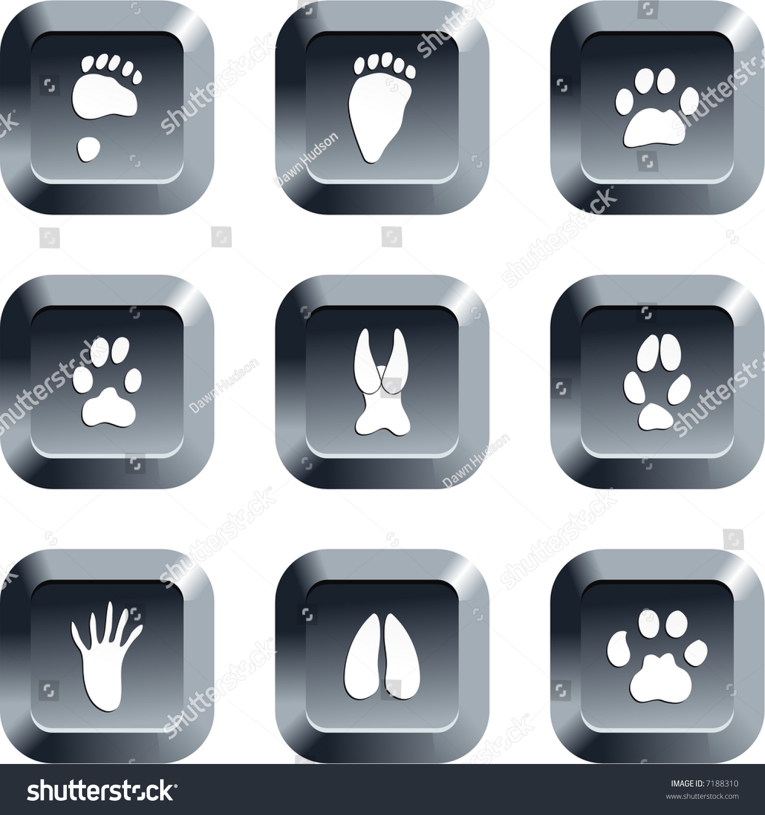 Animal Track Buttons Stock Vector (Royalty Free) 7188310