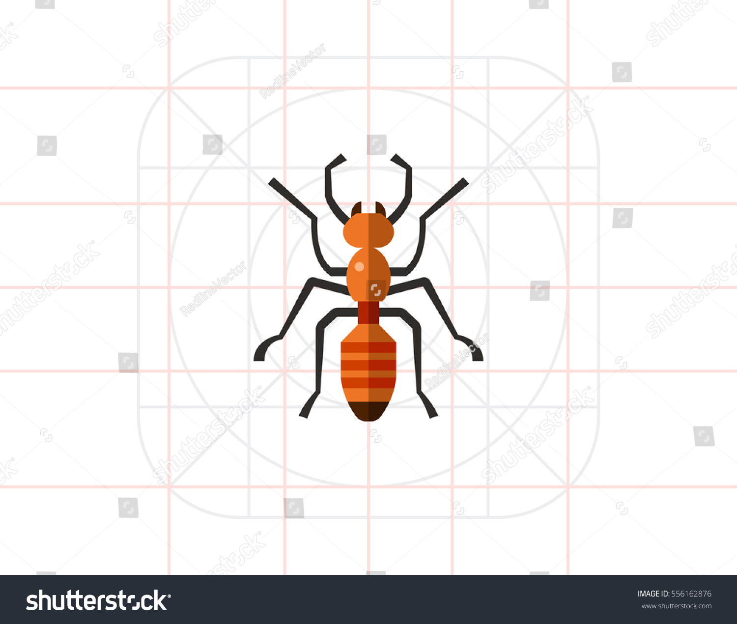 Ant Flat Icon Stock Vector (Royalty Free) 556162876 | Shutterstock