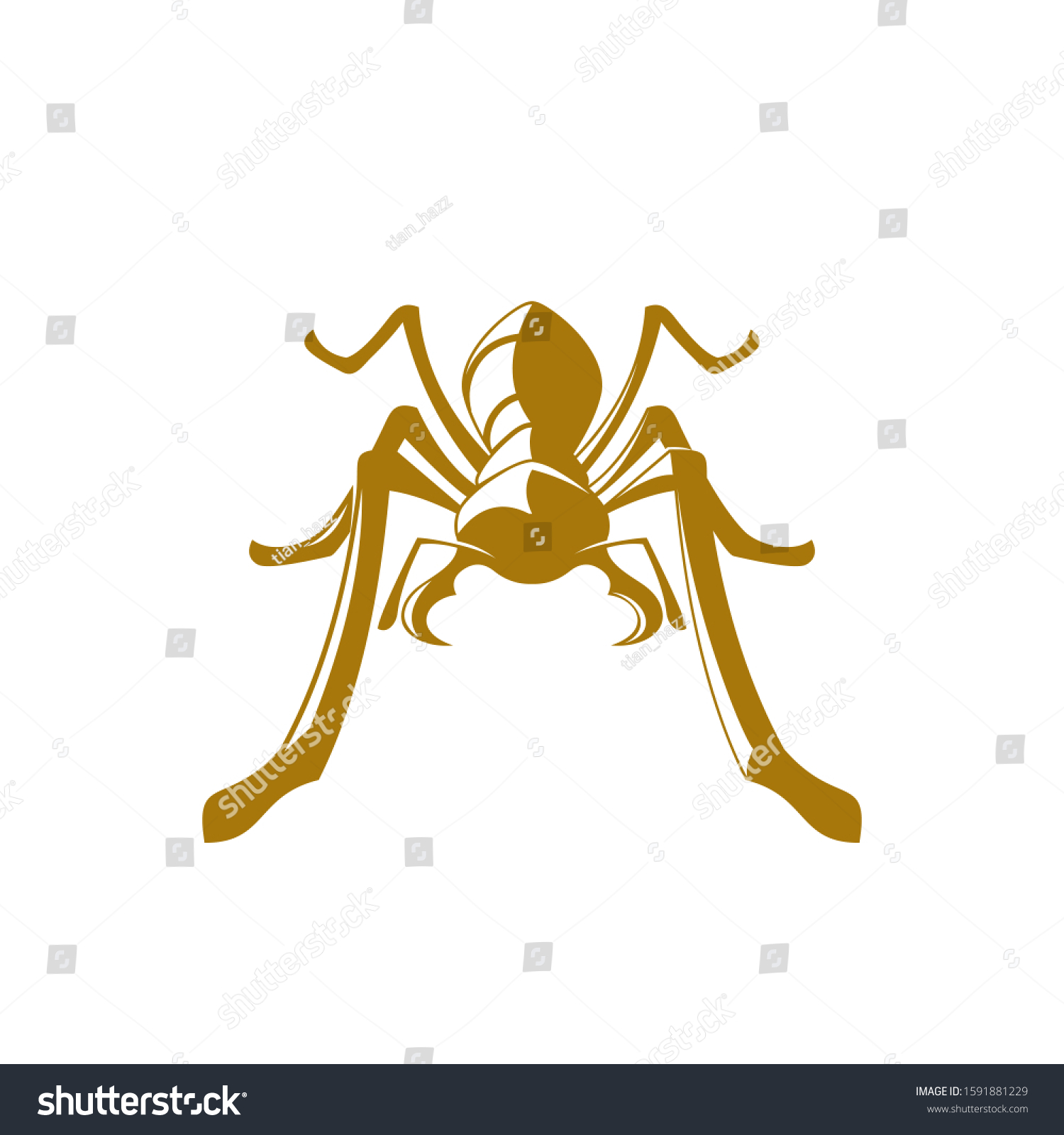 Ant Logo Front View Full Body Stock Vector (Royalty Free) 1591881229 ...