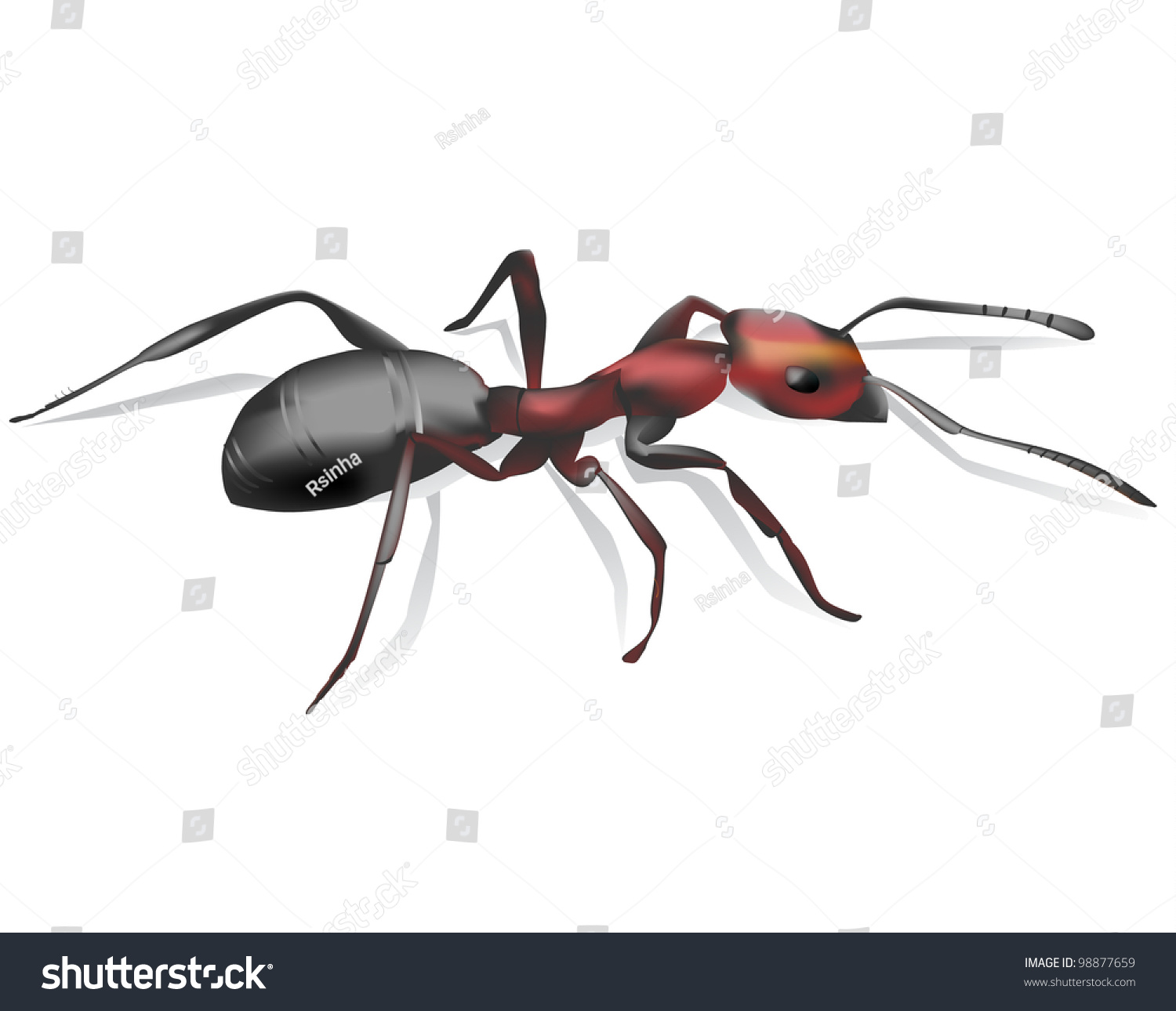 Vektor Stok Ant Realistic Detailed Vector (Tanpa Royalti) 98877659 ...