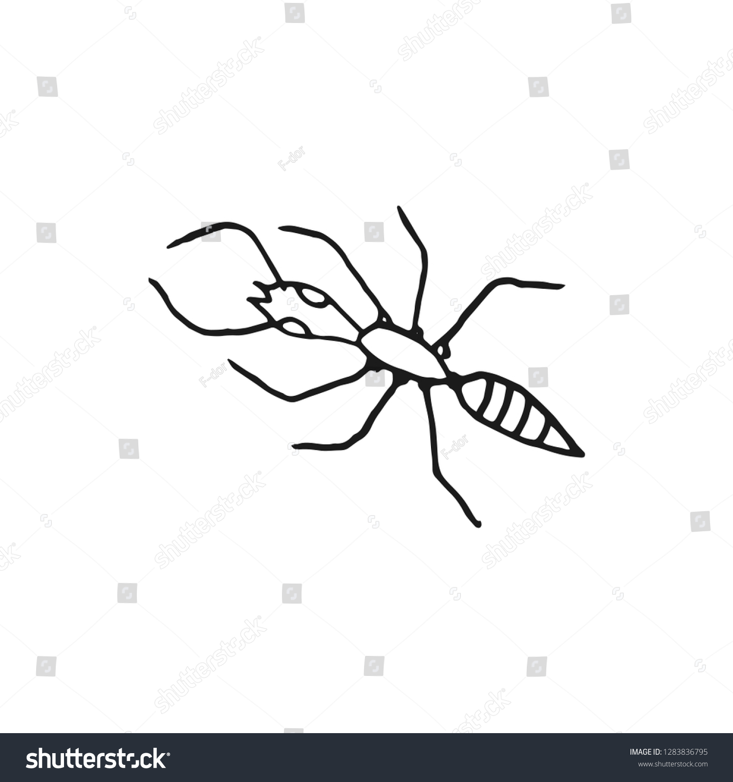 Ant Vector Doodle Sketch Isolated On Stock Vector (Royalty Free) 1283836795