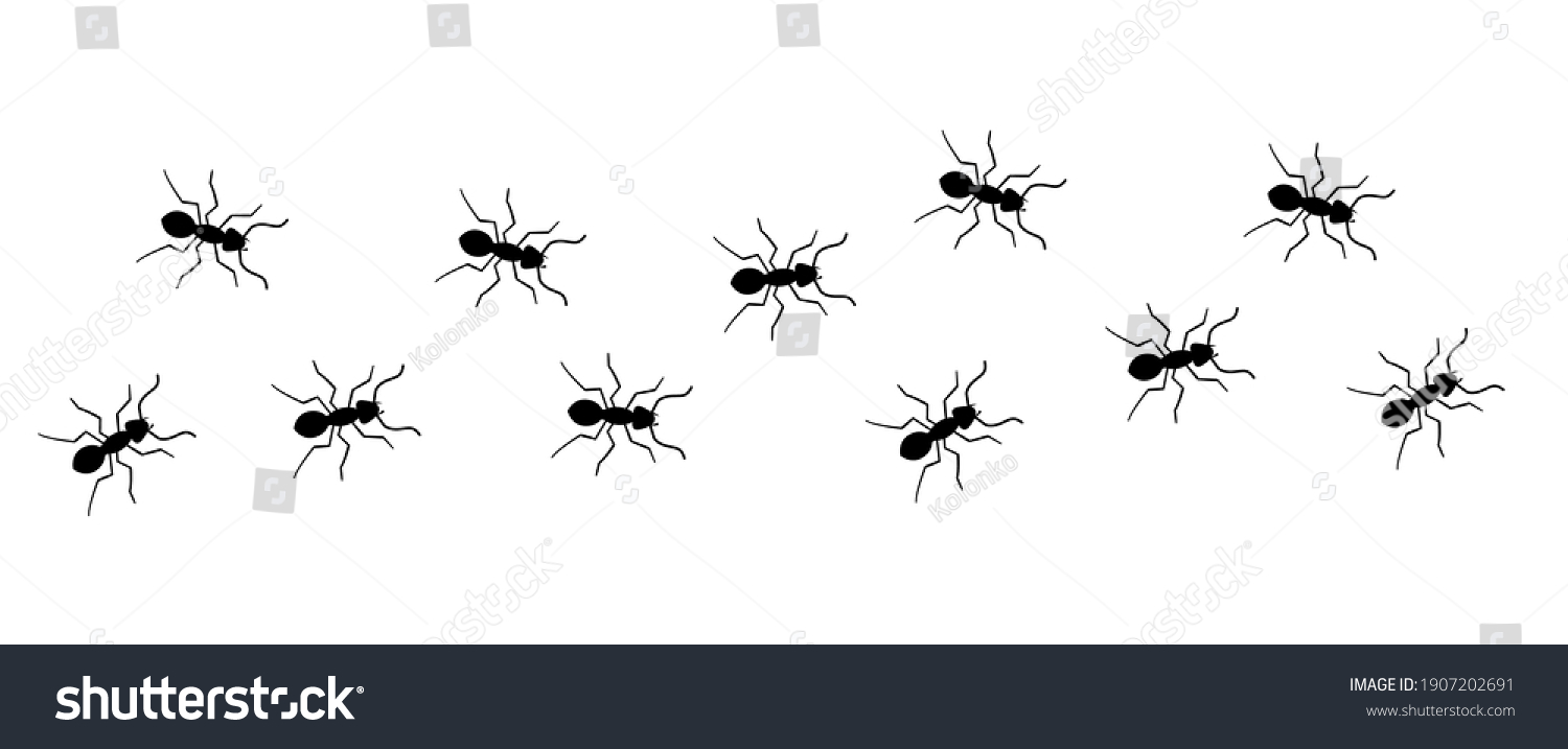 126,879 Ant background Images, Stock Photos & Vectors | Shutterstock