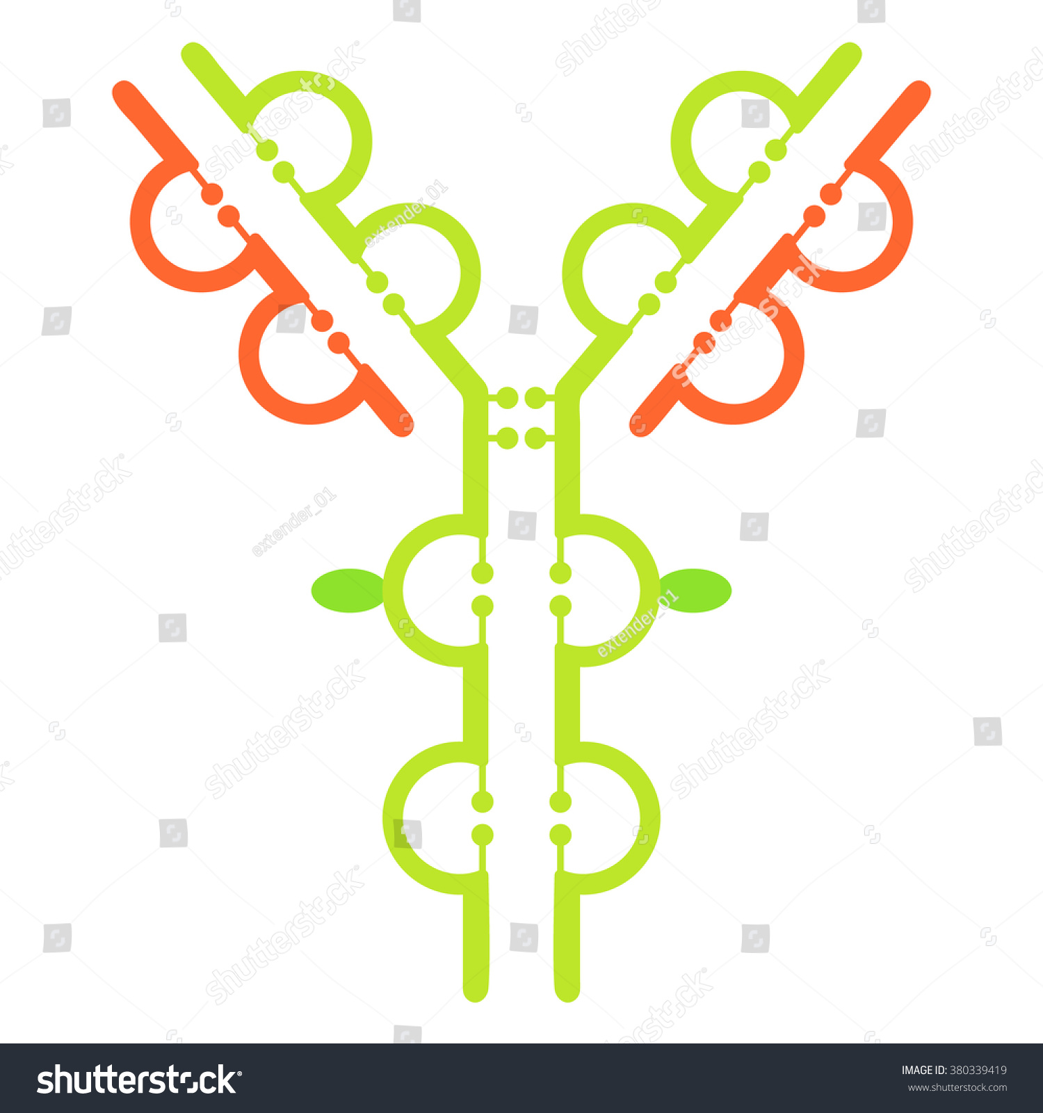 Simple Antibody Structure
