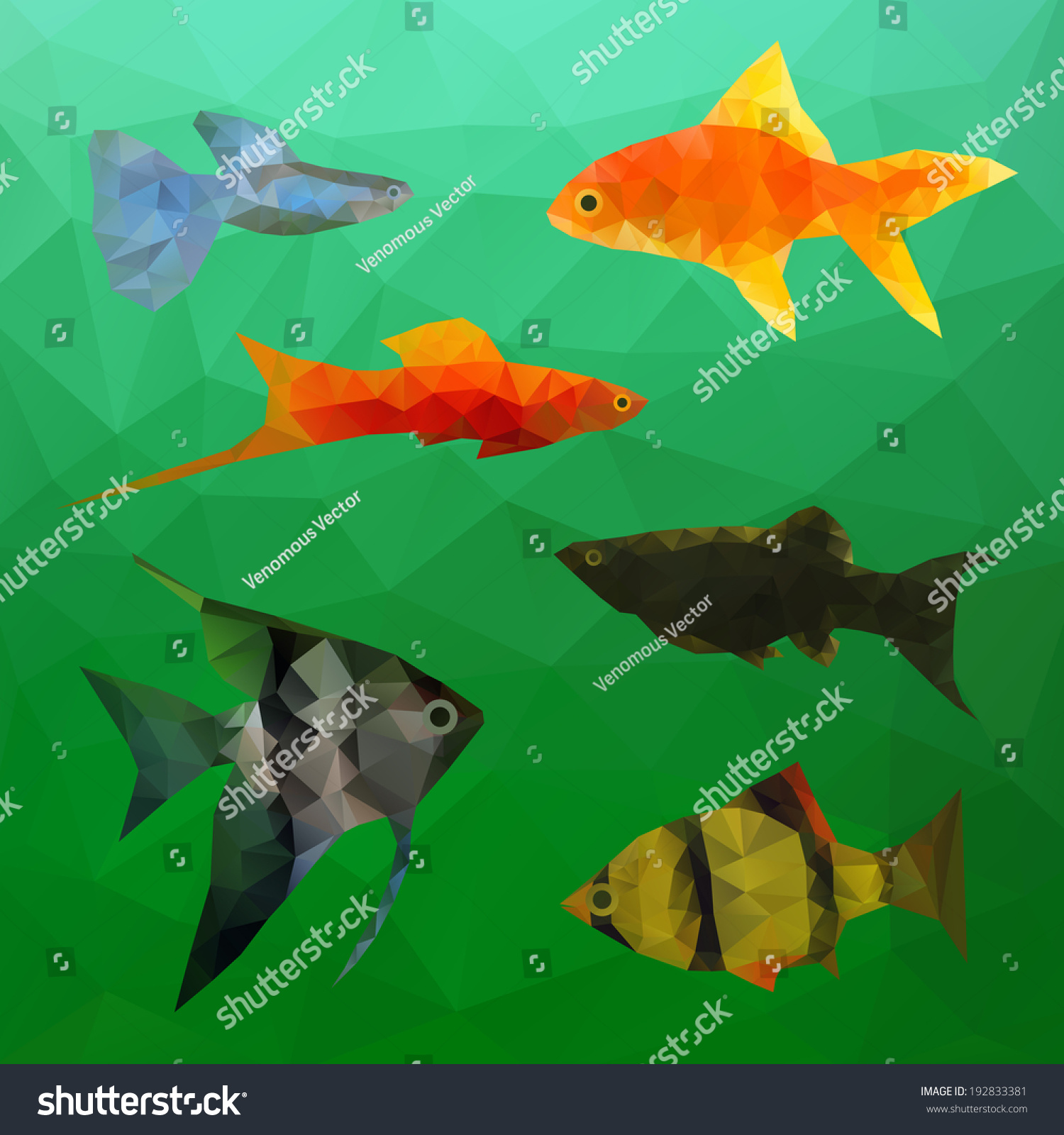 Aquarium Fish Polygon Vector Style Stock Vector (Royalty Free ...