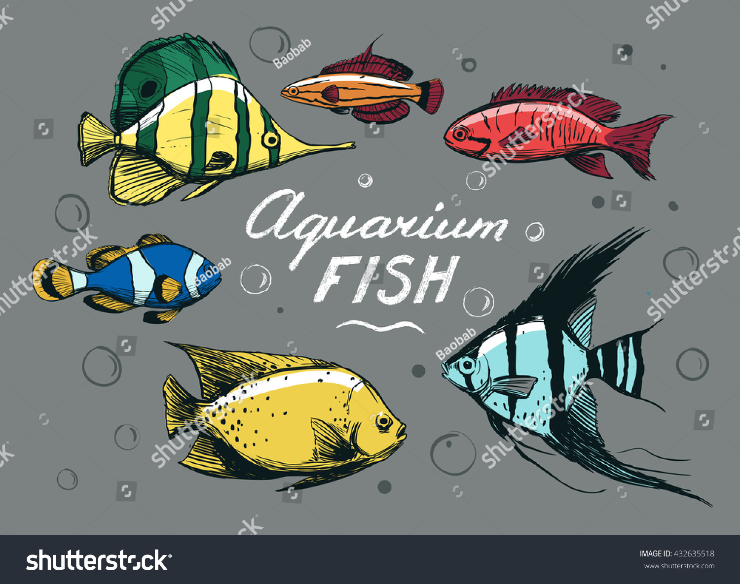 Aquarium Fish Vector Sketch Isolated Stock Vector (Royalty Free ...