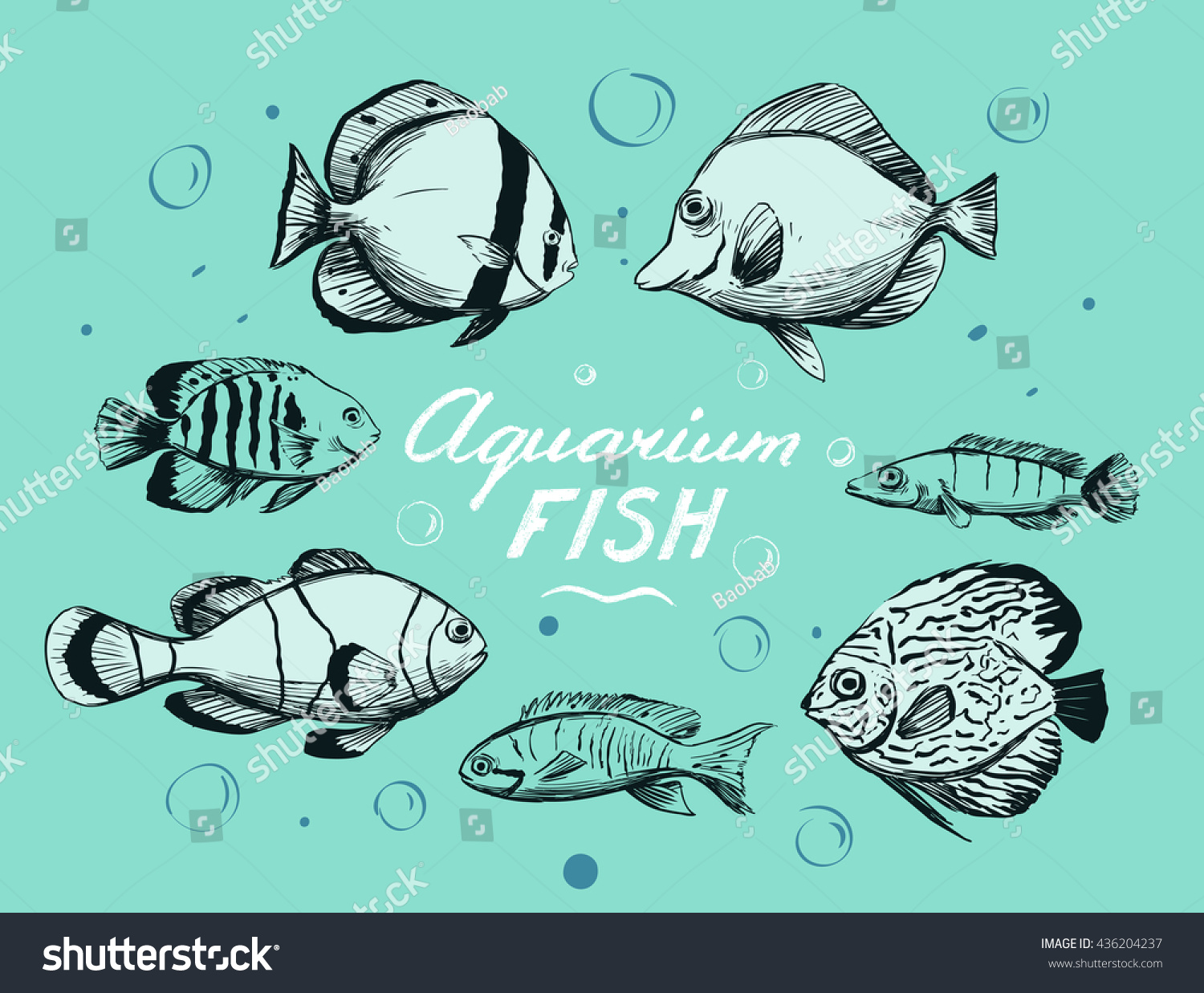 Aquarium Fish Vector Sketch Isolated Stock Vector (Royalty Free) 436204237
