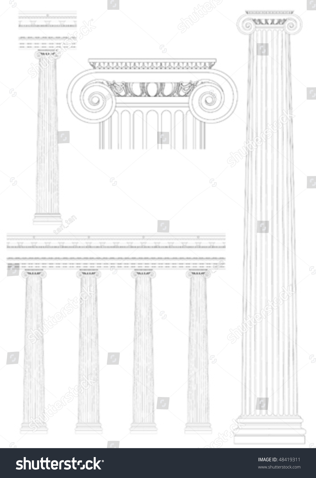 Architecture Detail Vector Classic Column Stock Vector (Royalty Free ...
