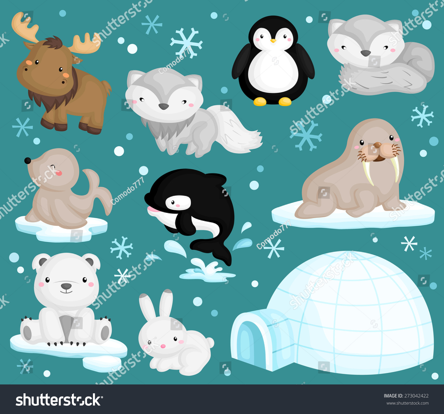 Arctic Animal Vector Set Stock Vector (Royalty Free) 273042422