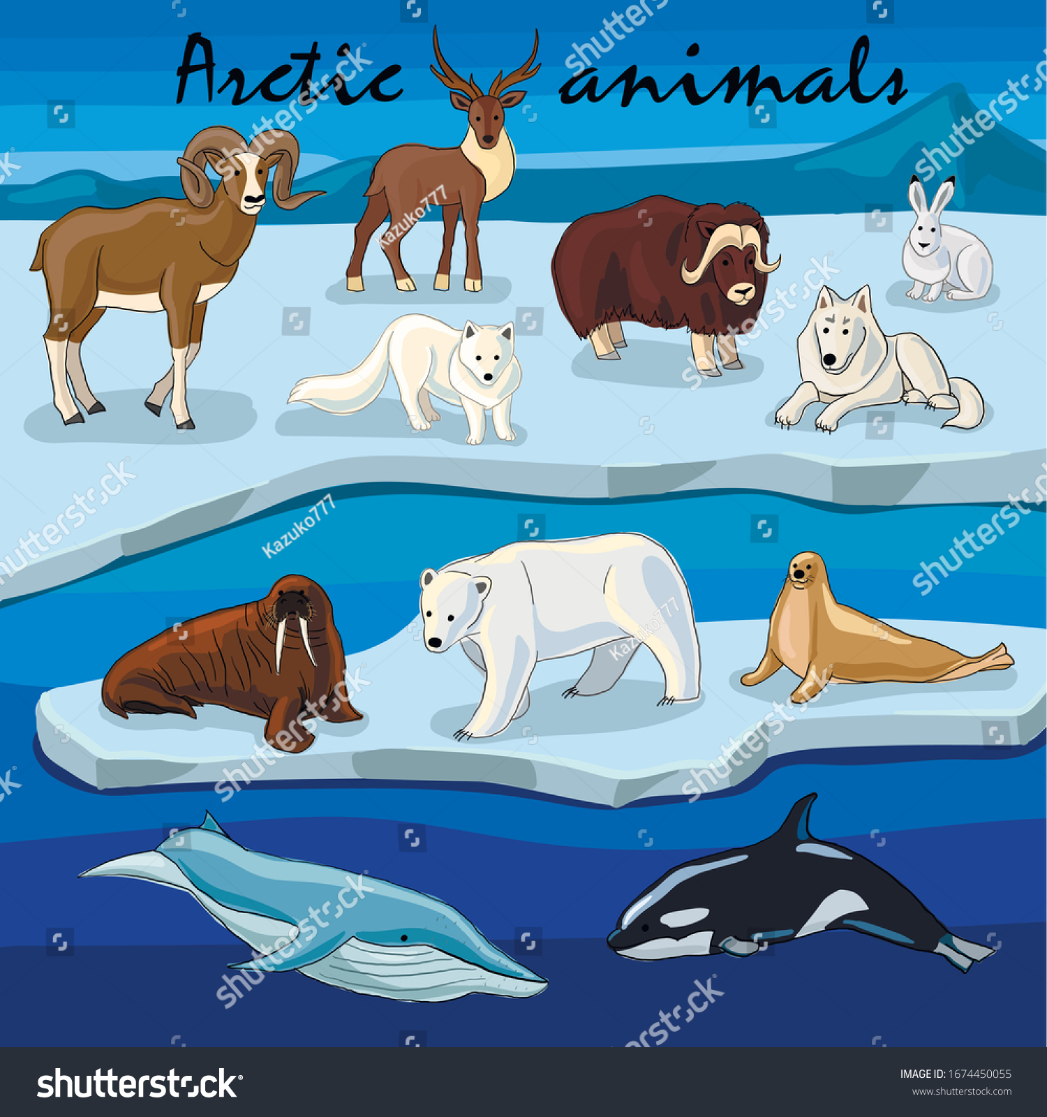 Arctic Animals Collection Vector Image Stock Vector (Royalty Free ...