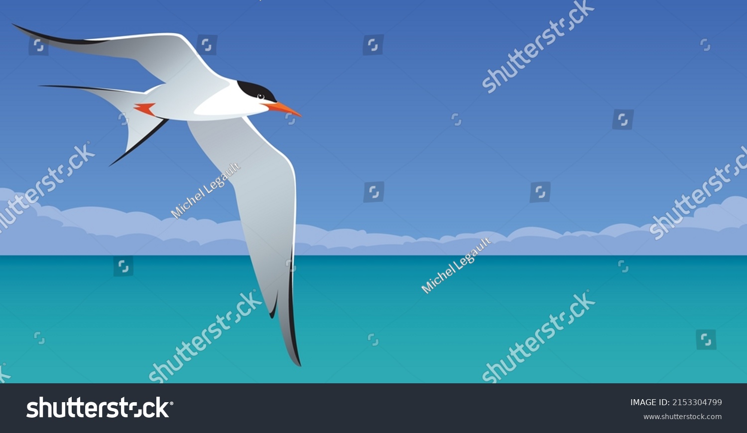 Arctic Tern Flight Vector Illustration Stock Vector (Royalty Free ...