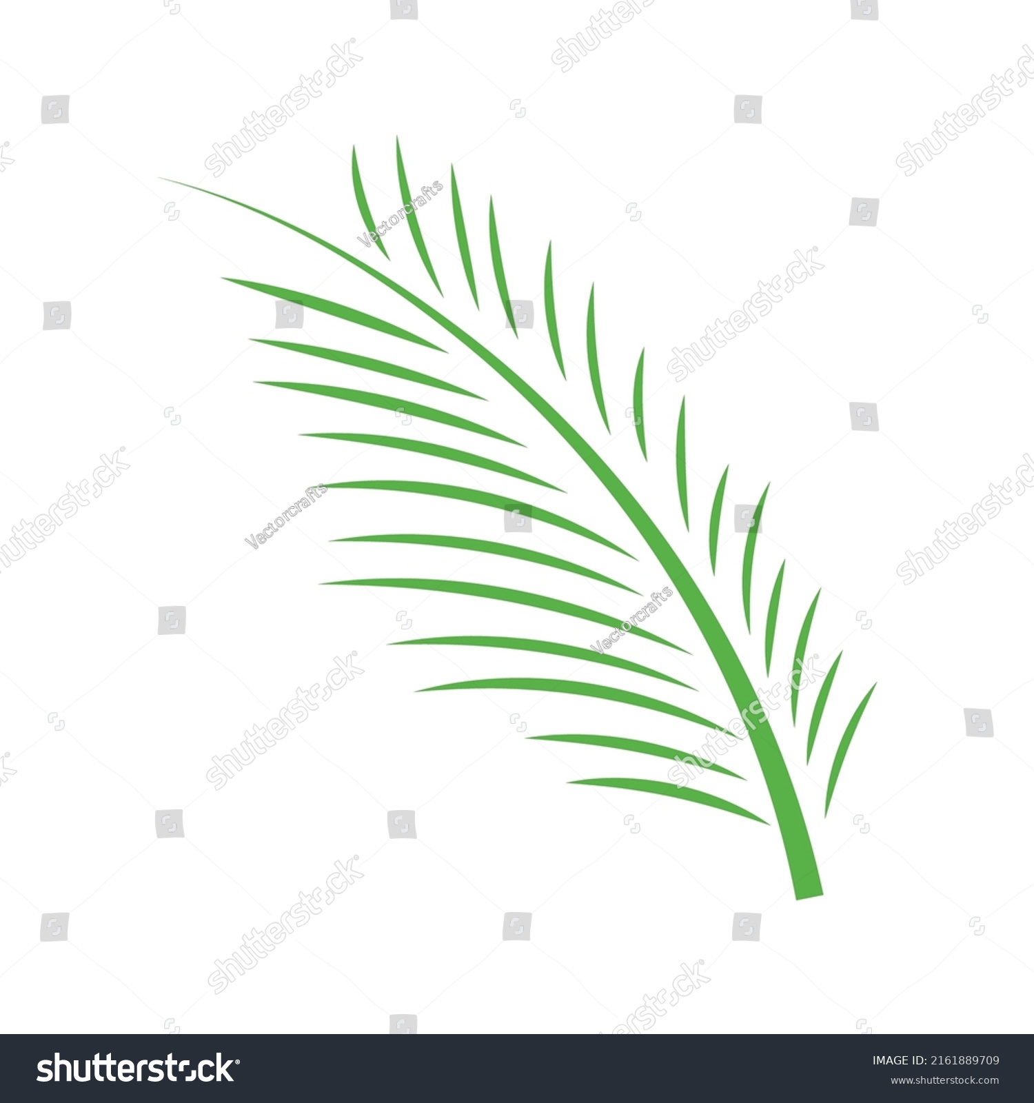 Areca Palm Leaf Icon Design Template Stock Vector (Royalty Free ...