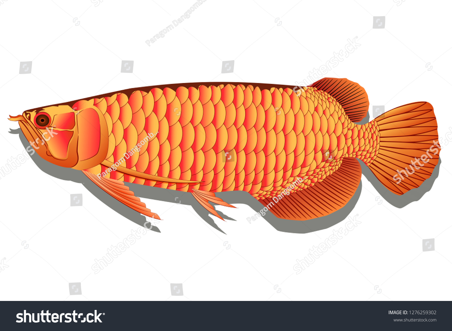 Arowana Fish Graphic Vector Stock Vector (Royalty Free) 1276259302