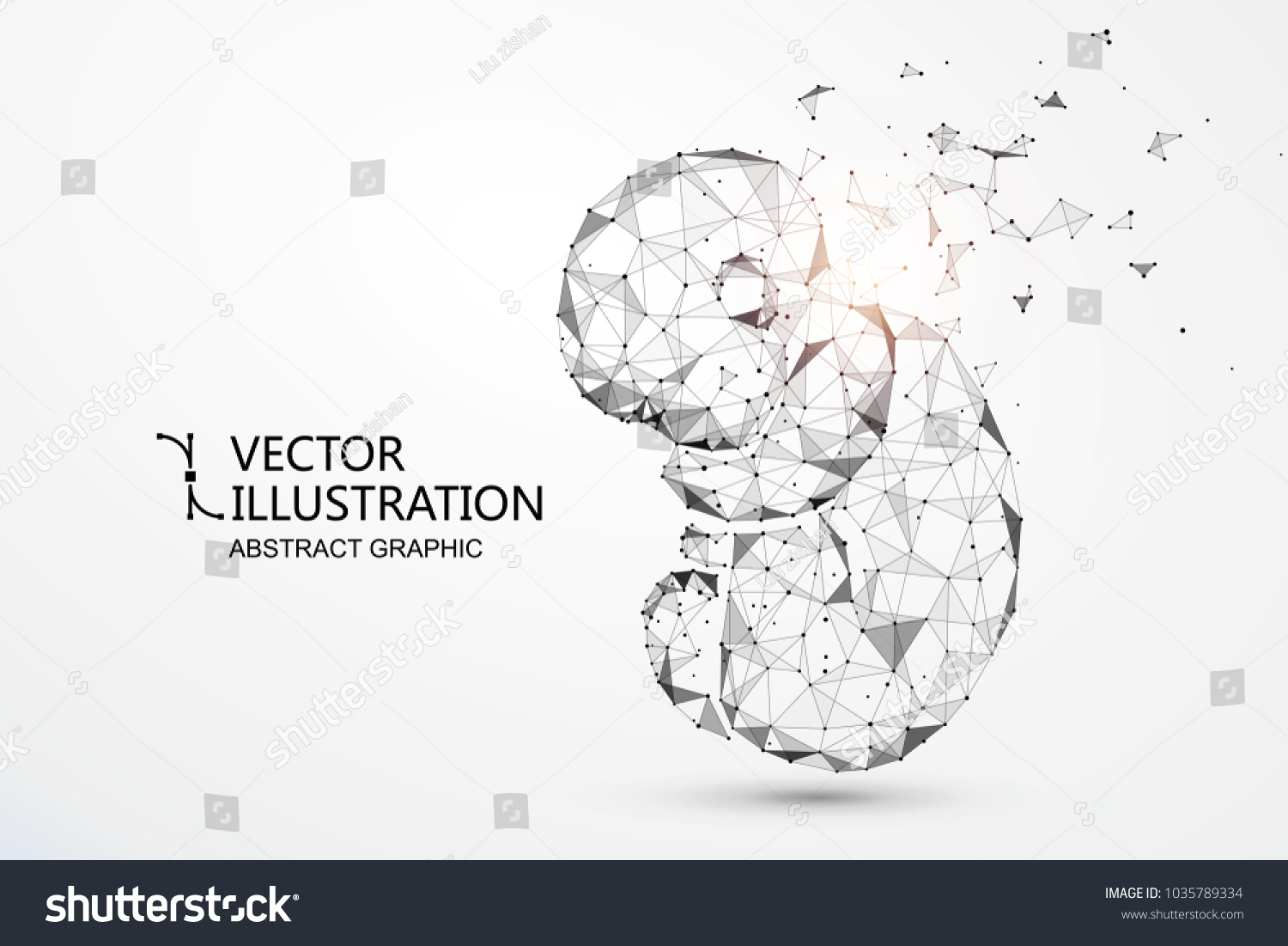 Artificial Nurtured Bionic Fetuses Points Lines Stock Vector (Royalty ...