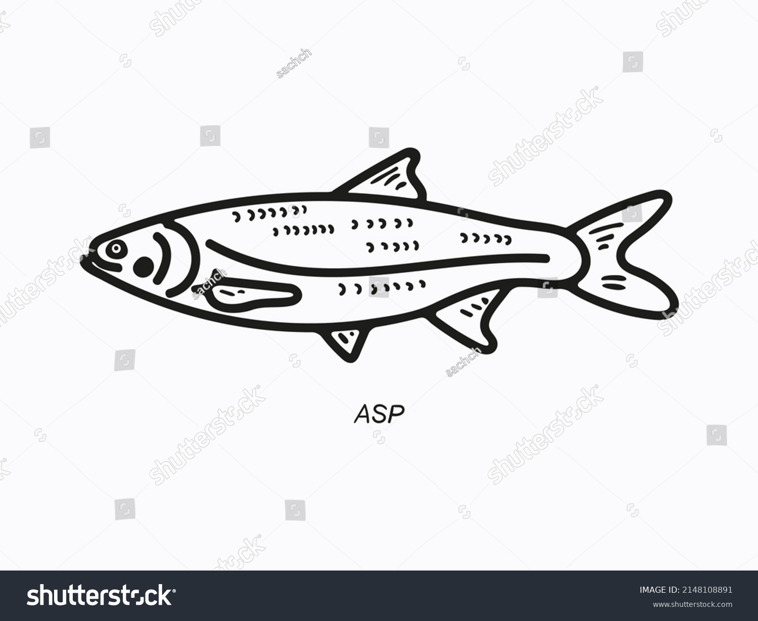 Asp Fish Drawning Vector Illustration Stock Vector (Royalty Free ...
