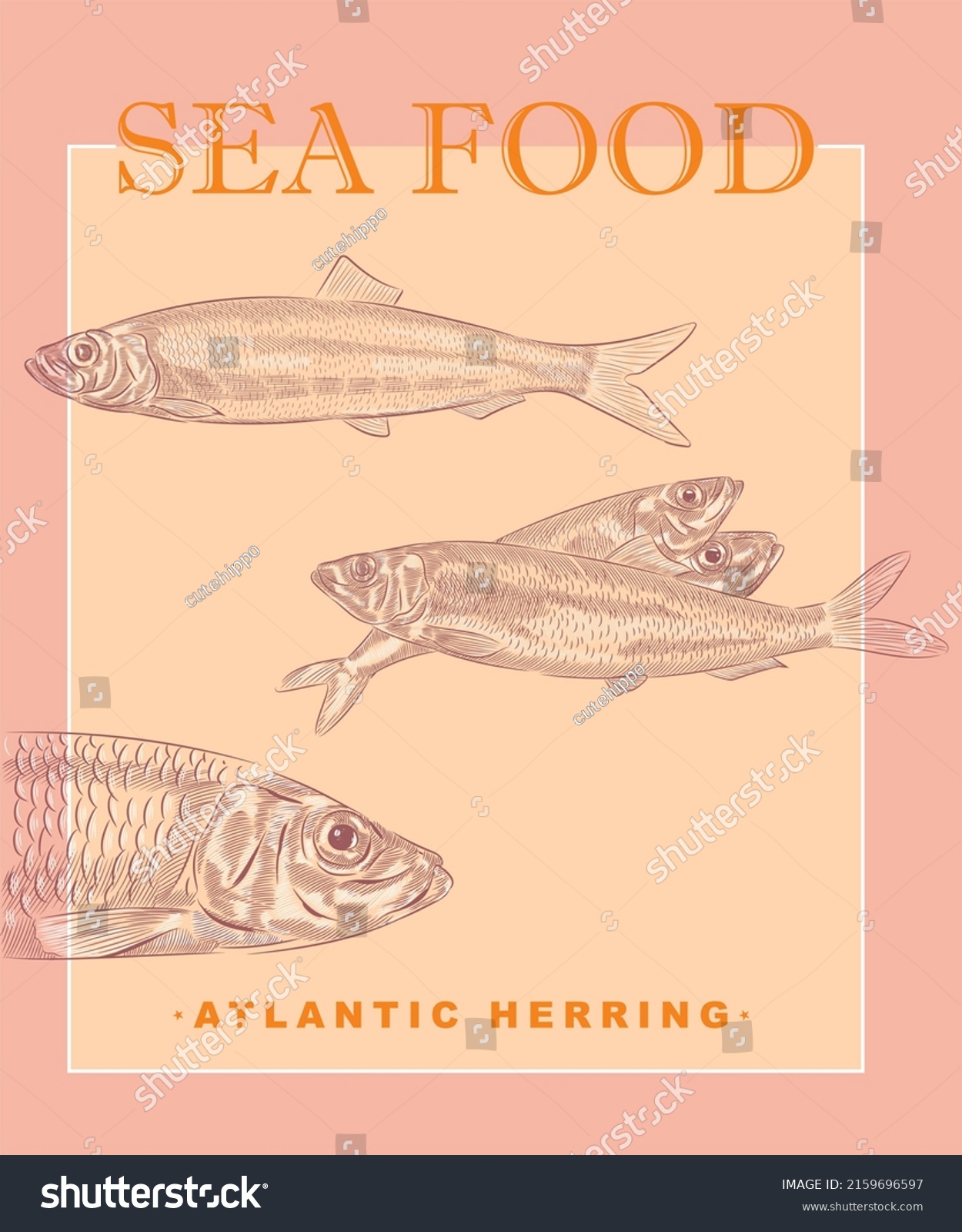 Atlantic Herring Illustrations Variations Typography Stock Vector ...