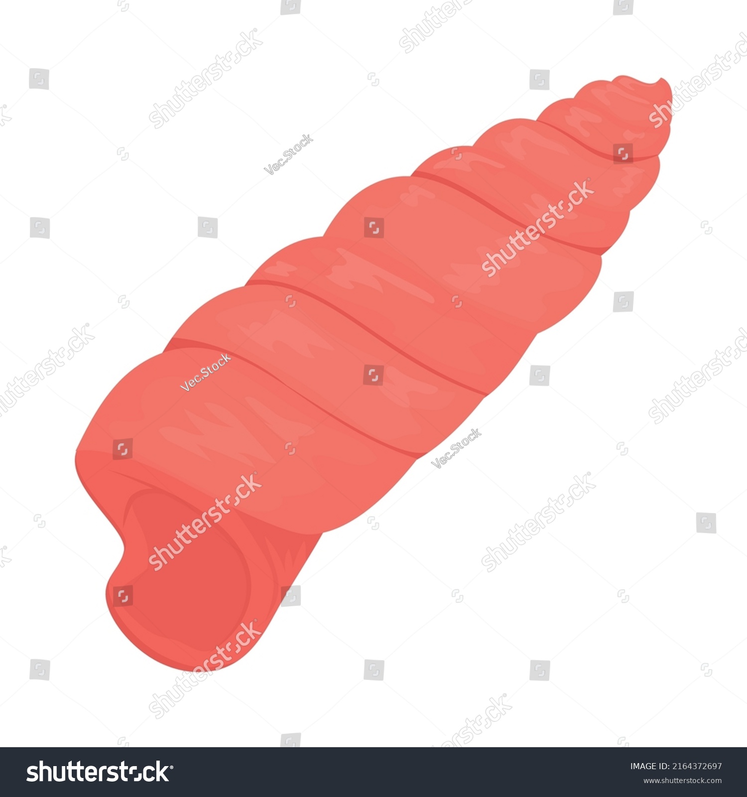 Auger Shell Icon On White Background Stock Vector (Royalty Free ...