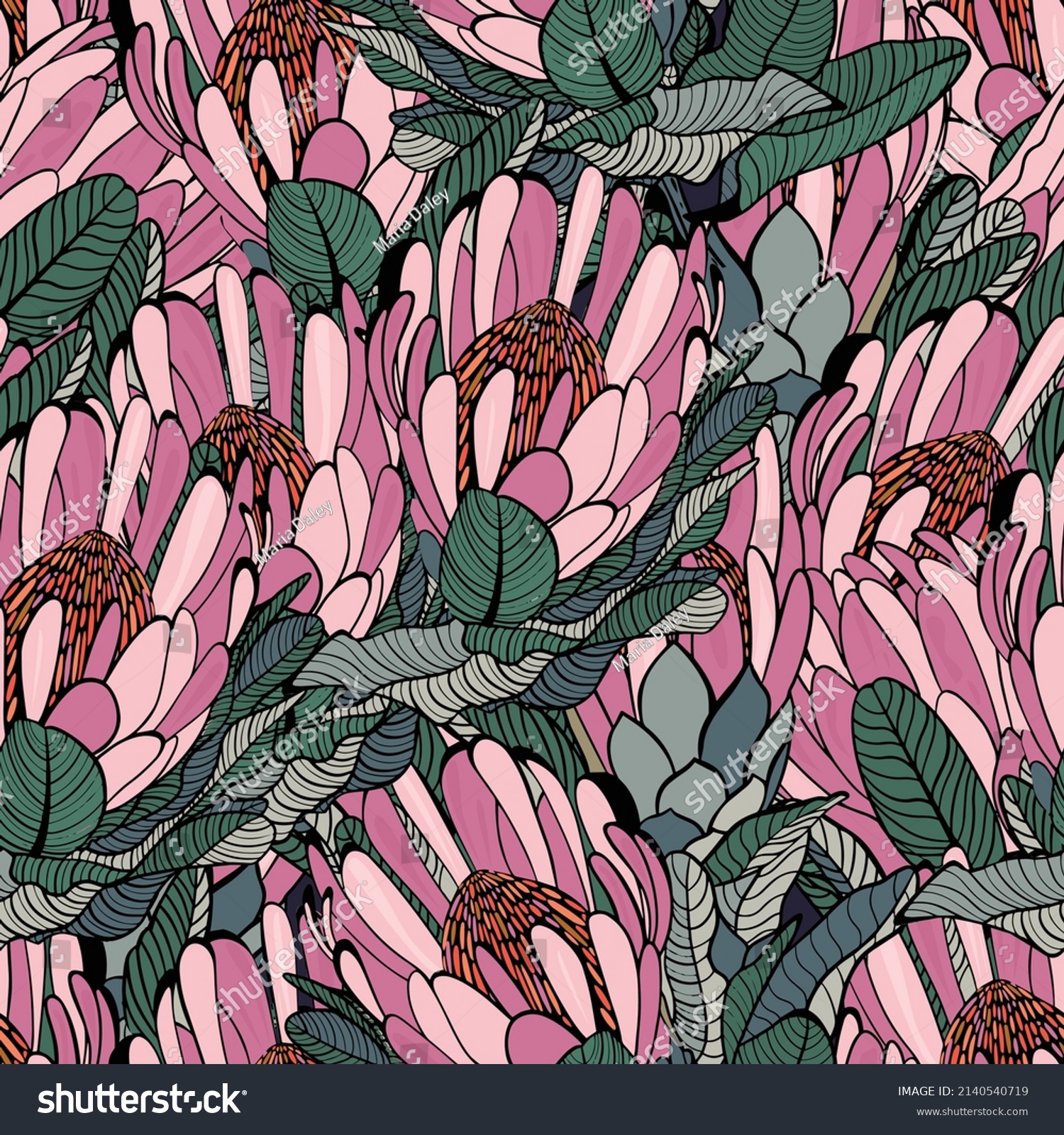 Australian Floral Natives Nature Vector Surface Stock Vector (Royalty ...