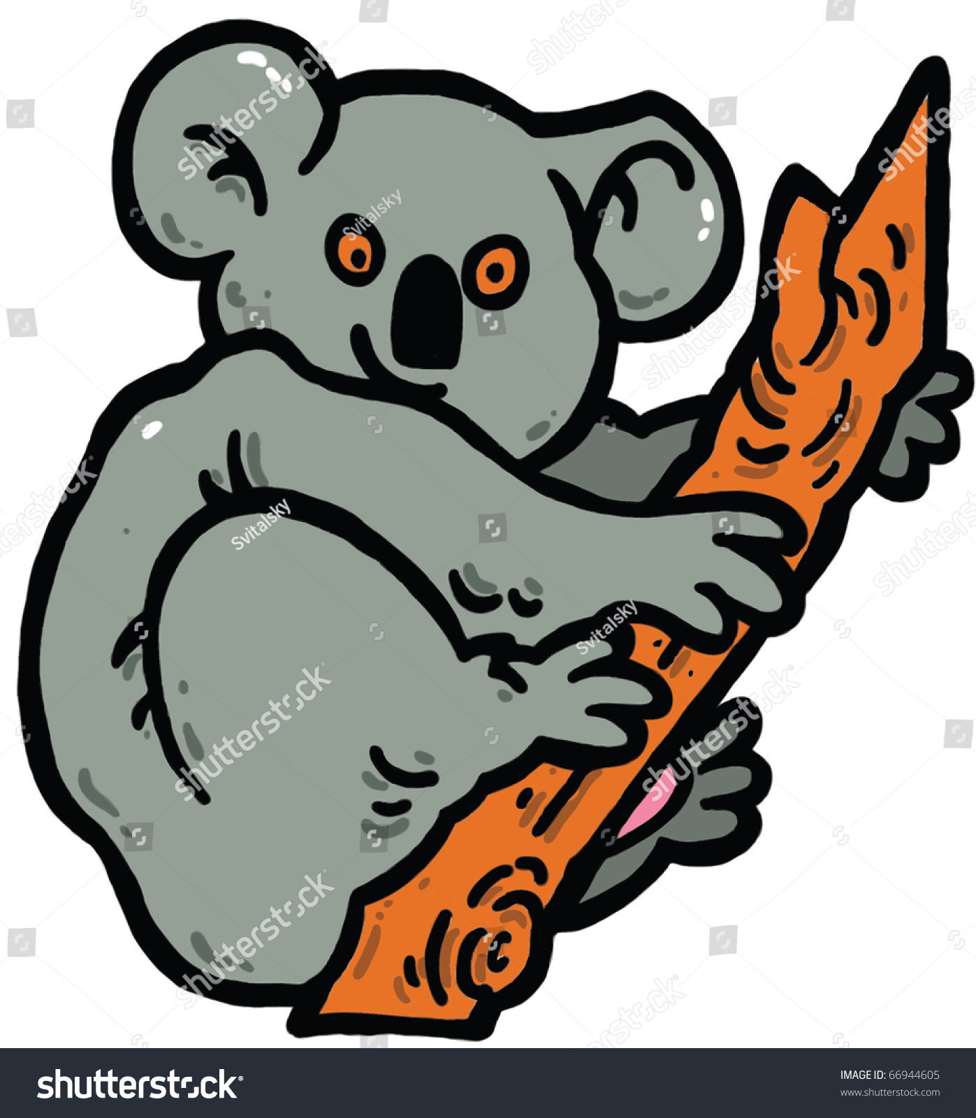 Australian Koala Vector Illustration Stock Vector (Royalty Free ...