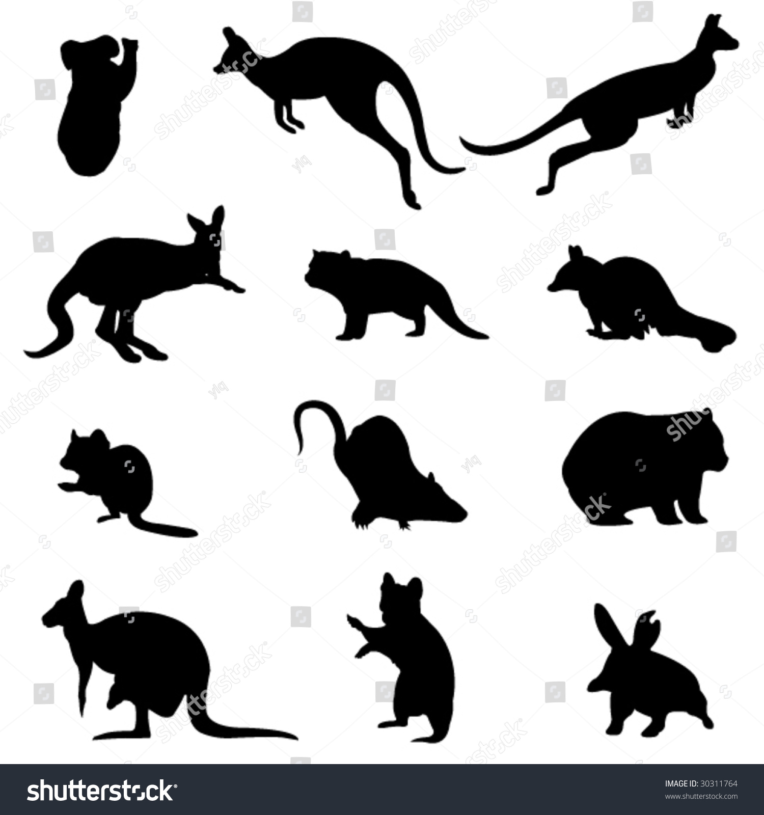Australian Marsupial Animals Stock Vector (Royalty Free) 30311764 ...