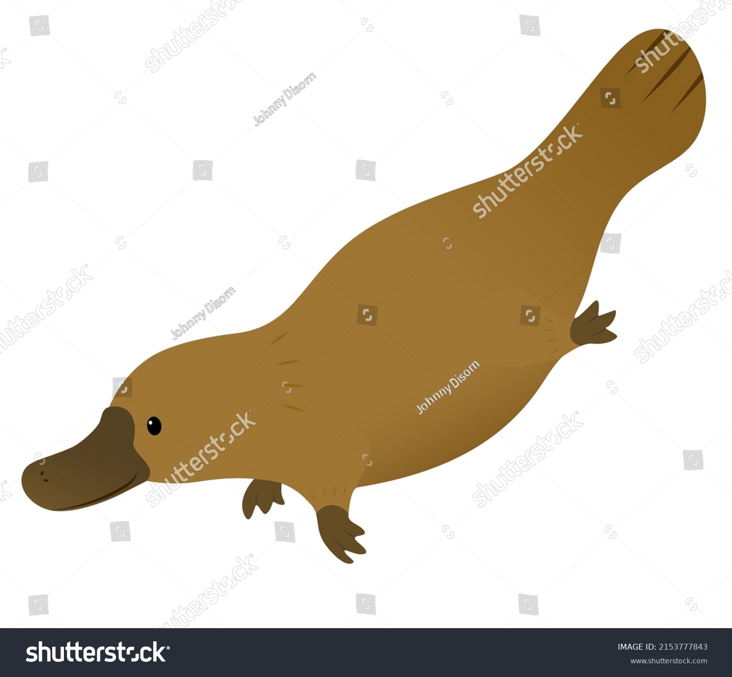 Australian Platypus Platypus Design Vector Stock Vector (Royalty Free ...