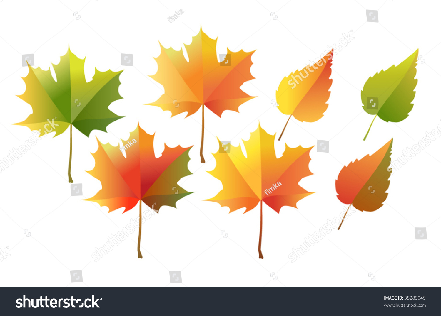 Autumn Leaves Design Elements Stock Vector (Royalty Free) 38289949 ...