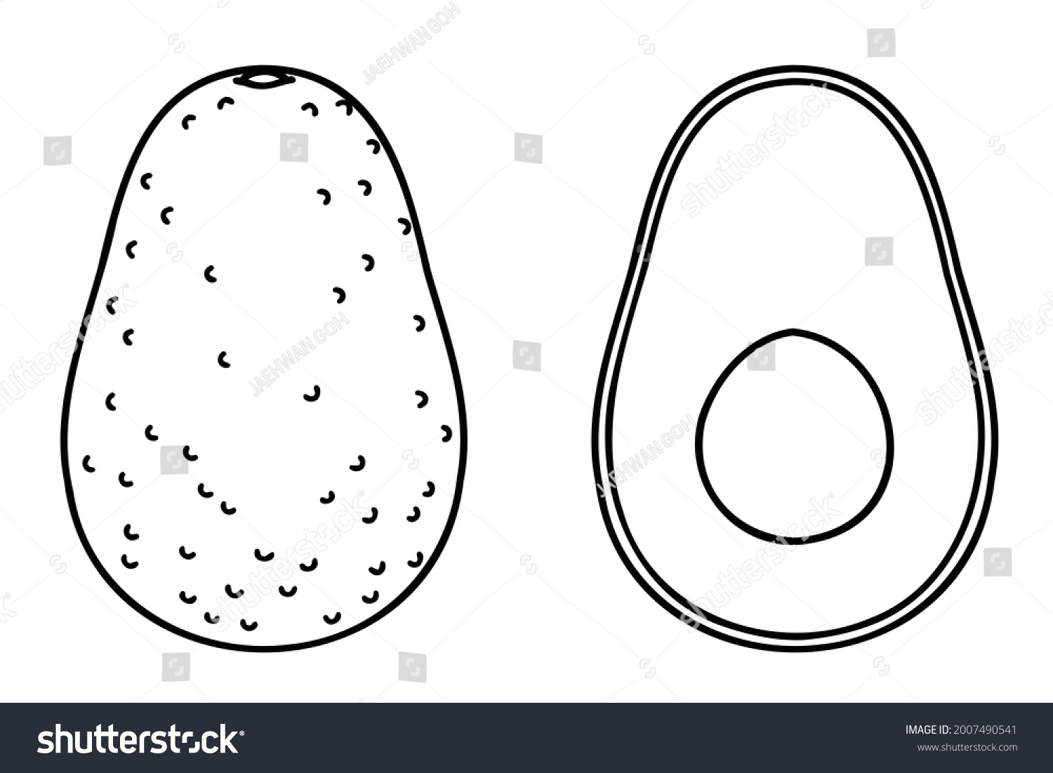 Avocado Vector Line Art Illustrations Set Stock Vector (Royalty Free ...