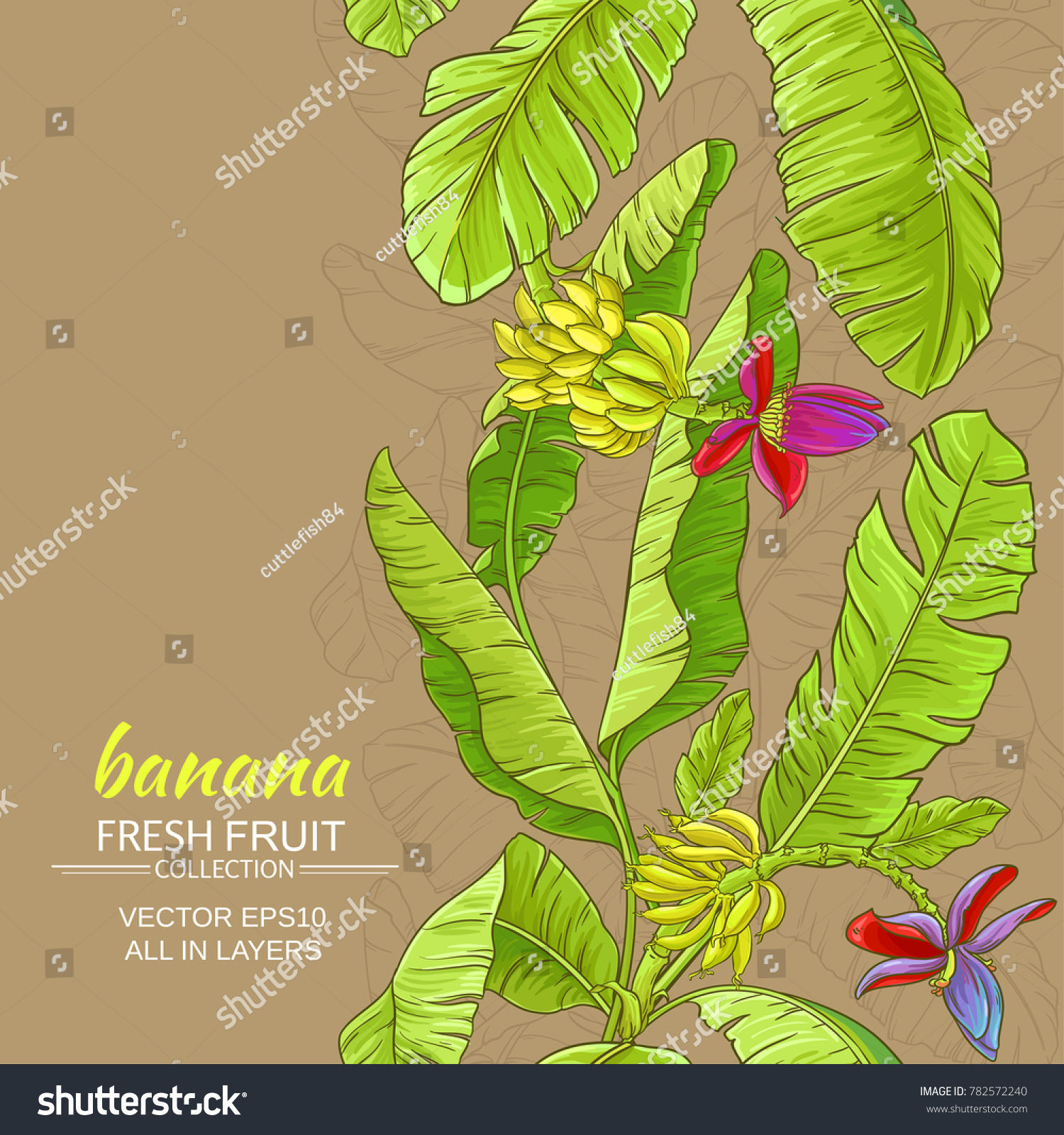 Babana Vector Background Stock Vector (Royalty Free) 782572240