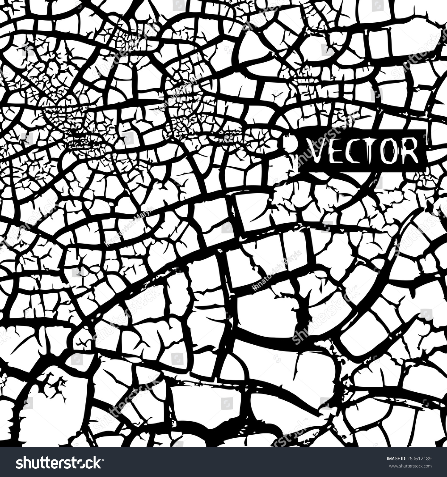 Background Black White Crack Vector Stock Vector (Royalty Free ...