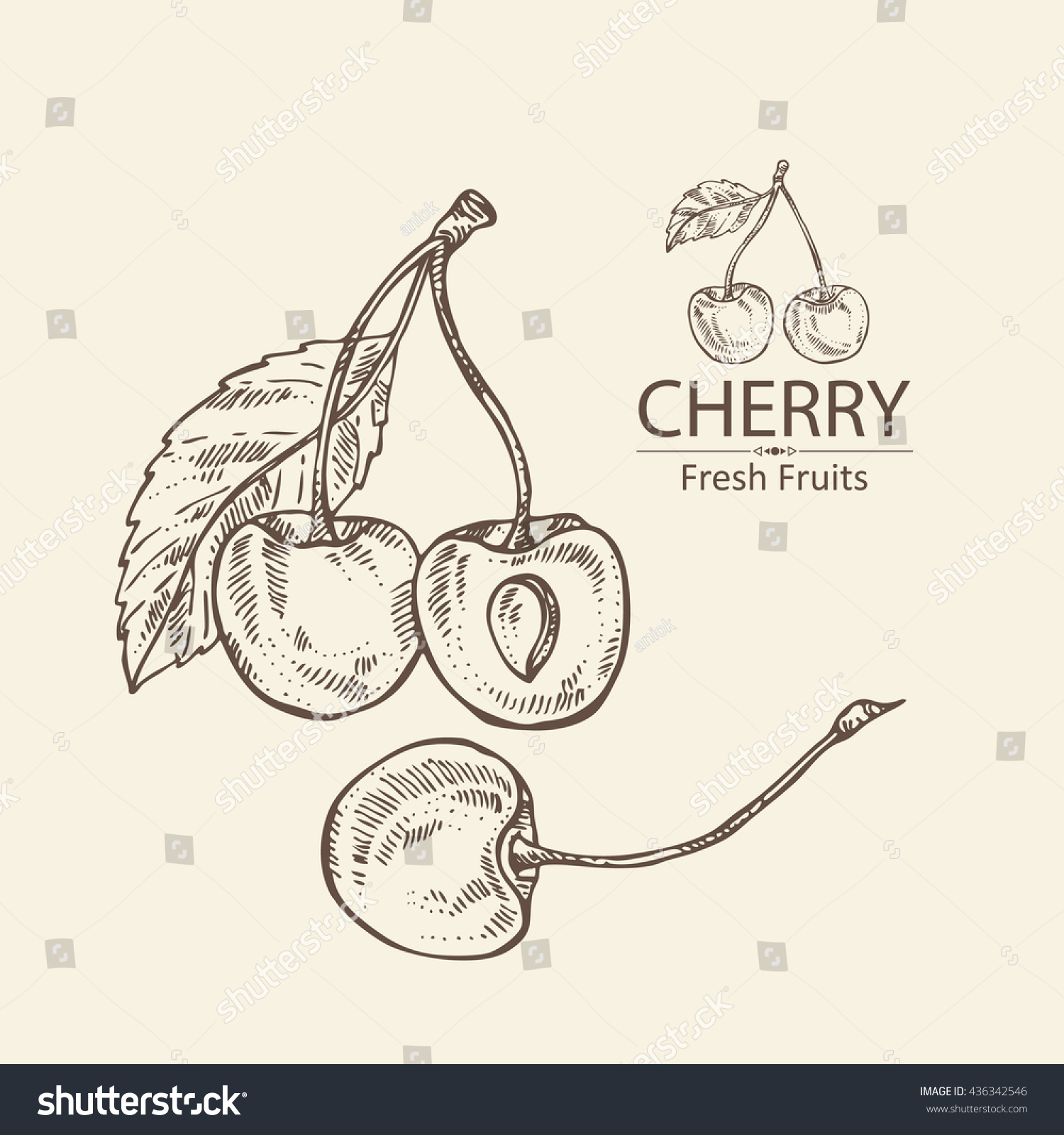 Background Cherry Hand Drawn Stock Vector (Royalty Free) 436342546 ...