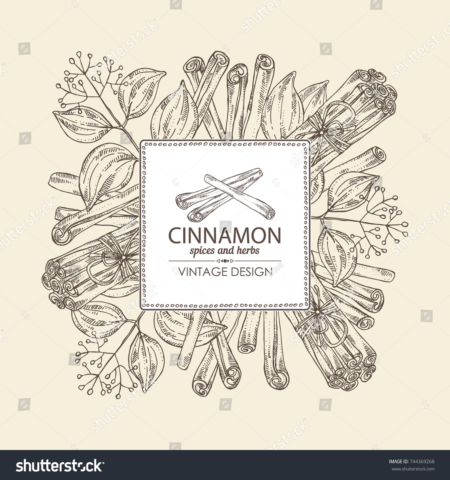Background Cinnamon Vector Hand Drawn Illustration Stock Vector ...