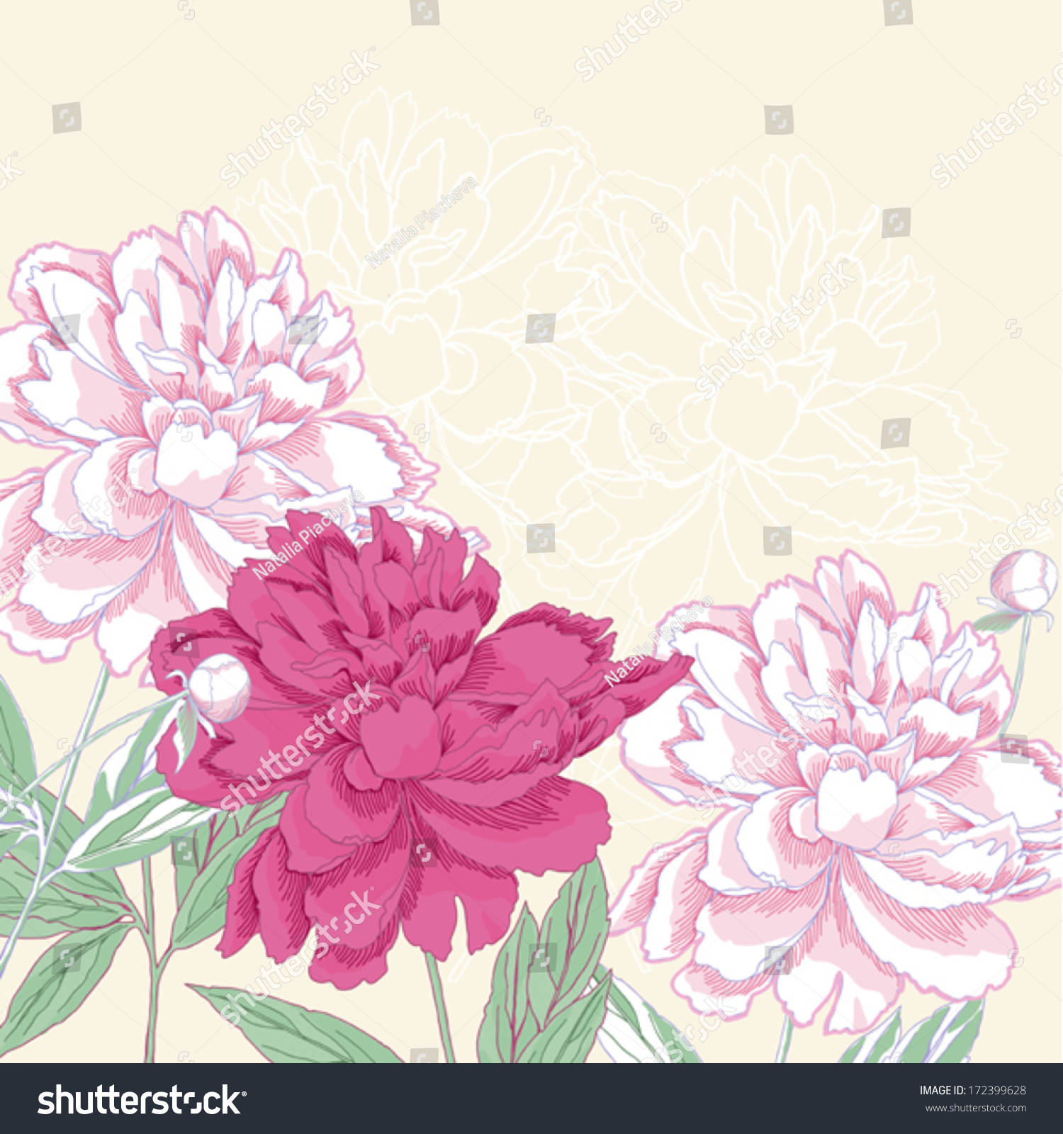 Background Pink Peony Vector Illustration Stock Vector (Royalty Free ...