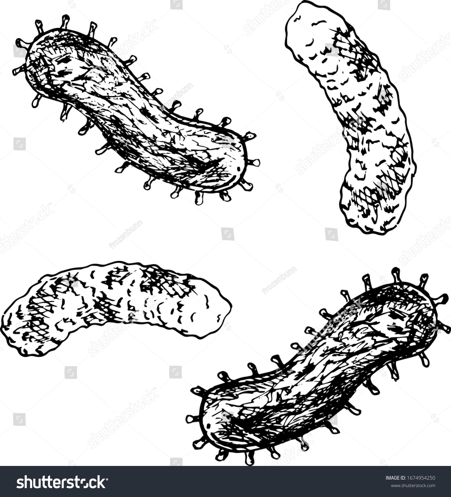 Bacteria Germs Hand Drawn Set Microorganisms Stock Vector (Royalty Free ...