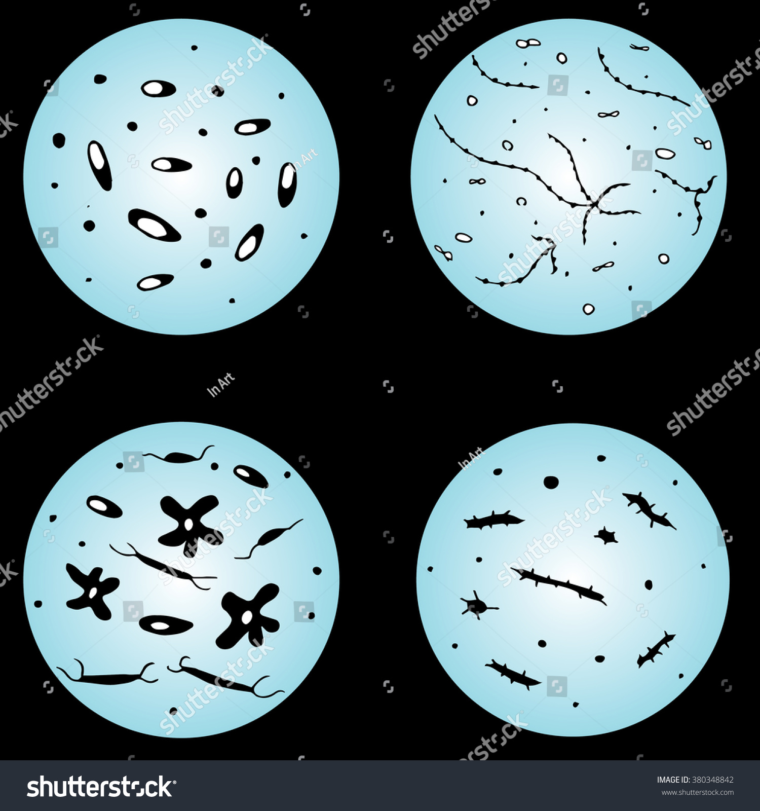 Bacteria Cells Microorganisms Under Microscope Dirty: เวกเตอร์สต็อก ...
