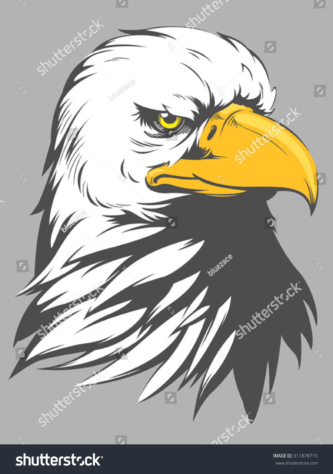 Bald Eagle Head Cartoon Stock Vector (Royalty Free) 311878715