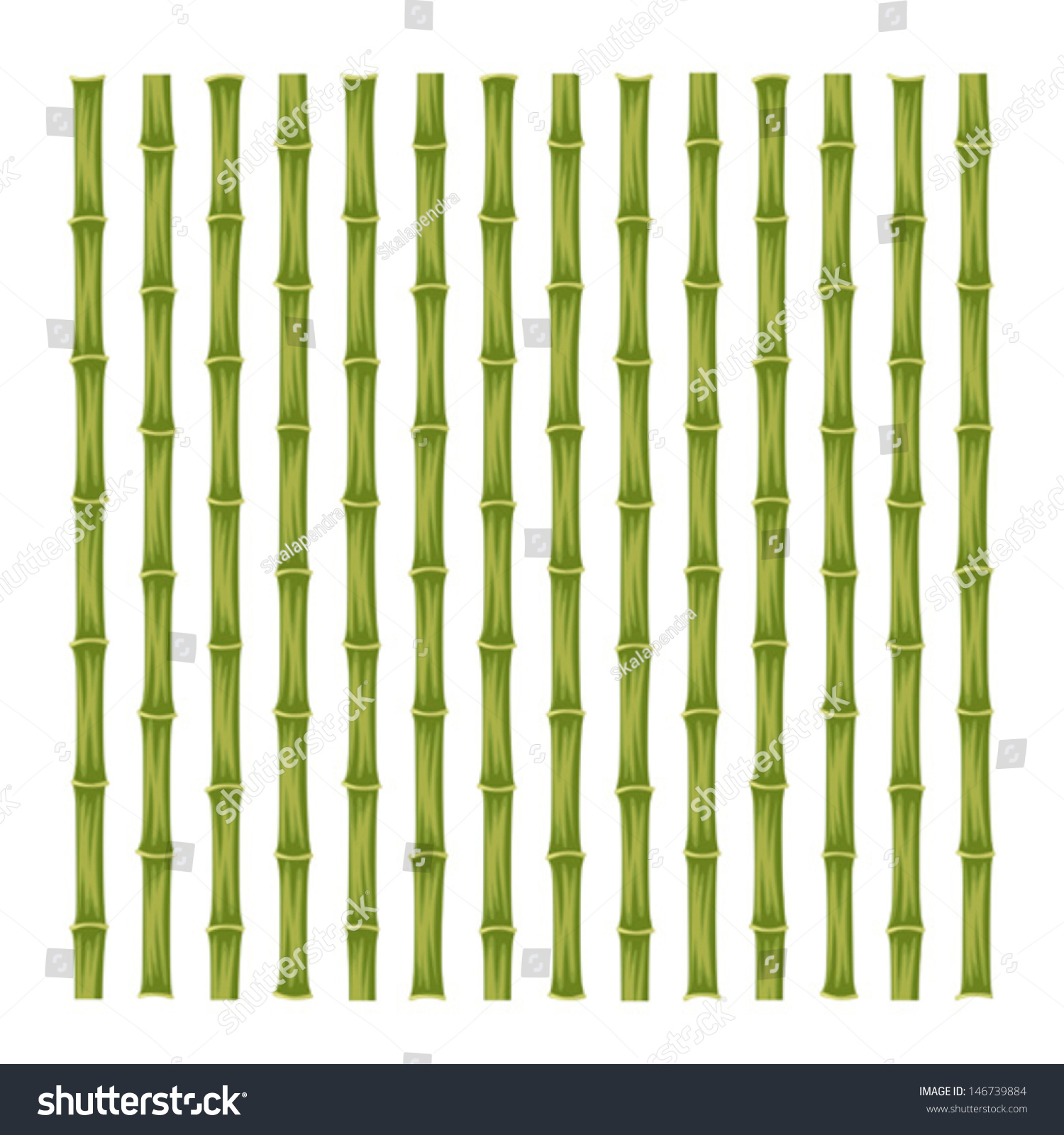 Bamboo Pattern Stock Vector (Royalty Free) 146739884 | Shutterstock