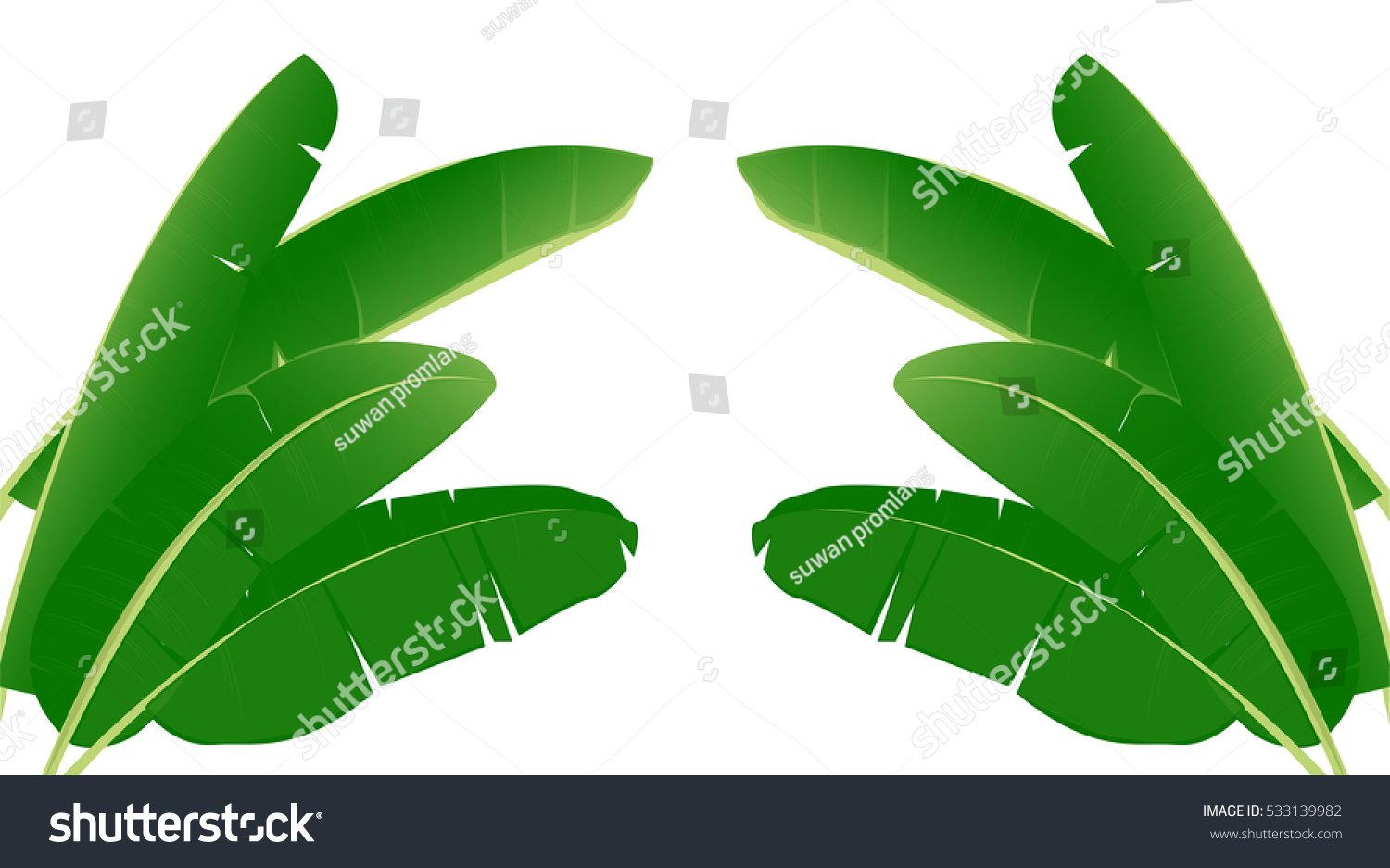 Banana Leaf Vector Isolated On White Stock Vector (Royalty Free) 533139982