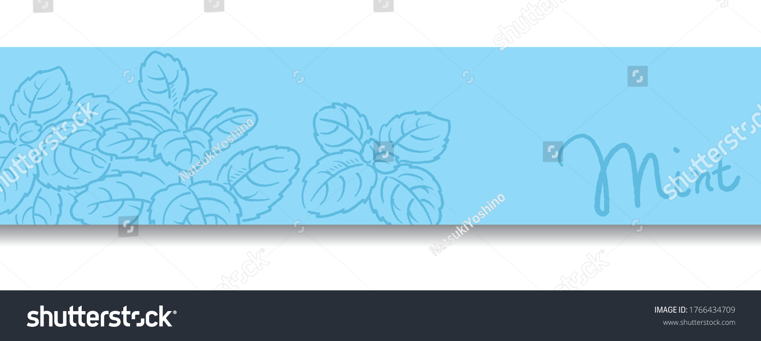 Banner Mint Leaves Vector Illustration Stock Vector (Royalty Free ...