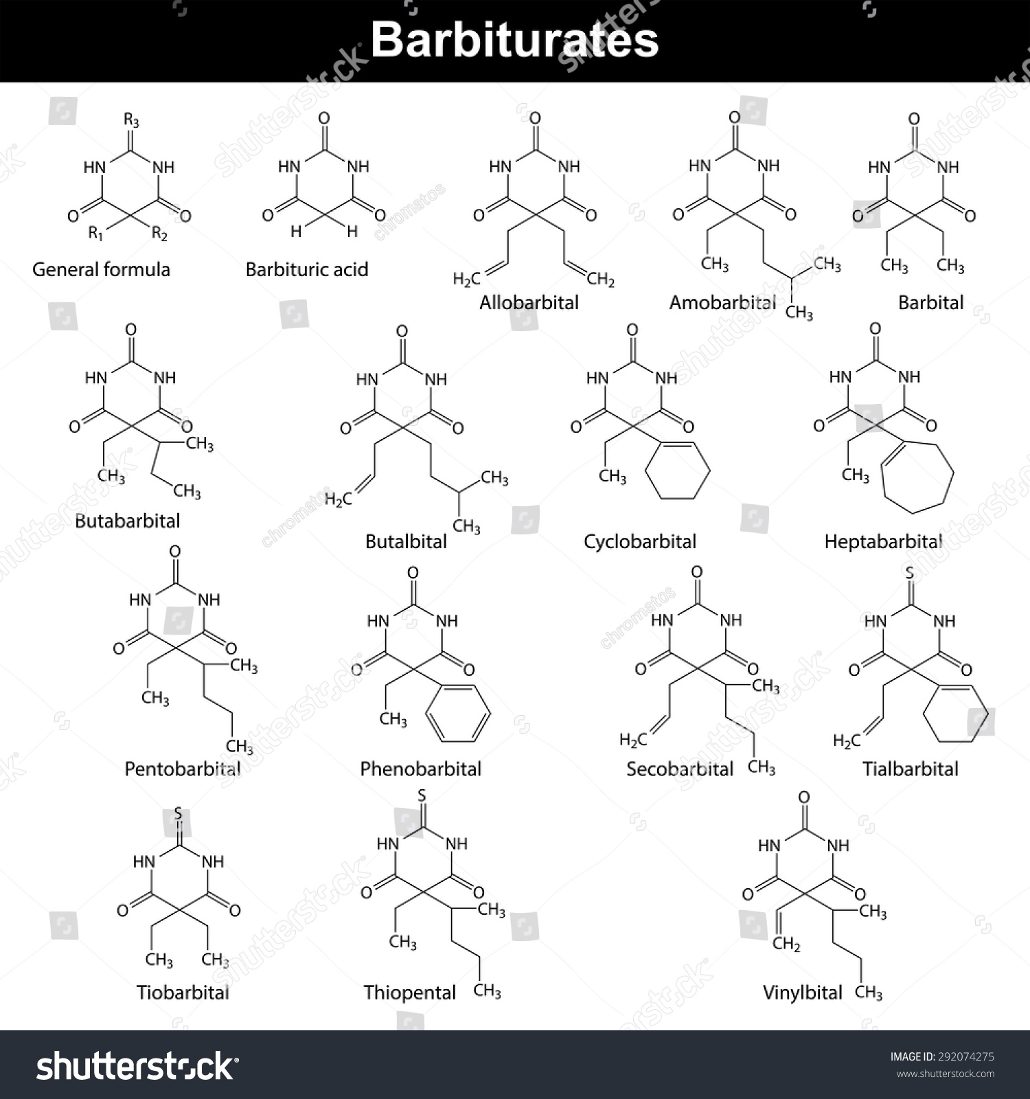 Barbiturate Molecules Chemical Structural Molecular Formulas Stock ...