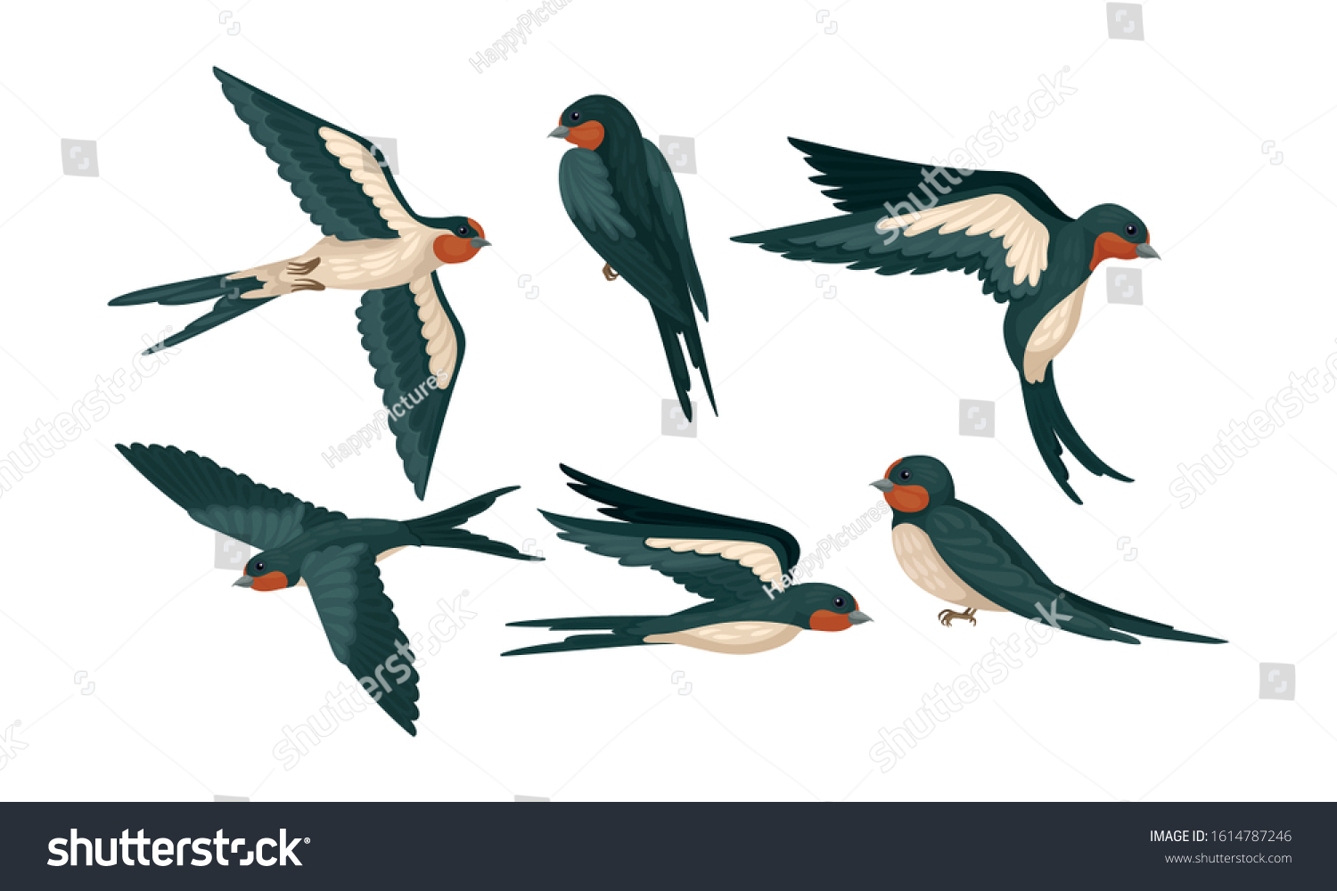Barn Swallow Long Tail Sharp Wings Stock Vector (Royalty Free ...