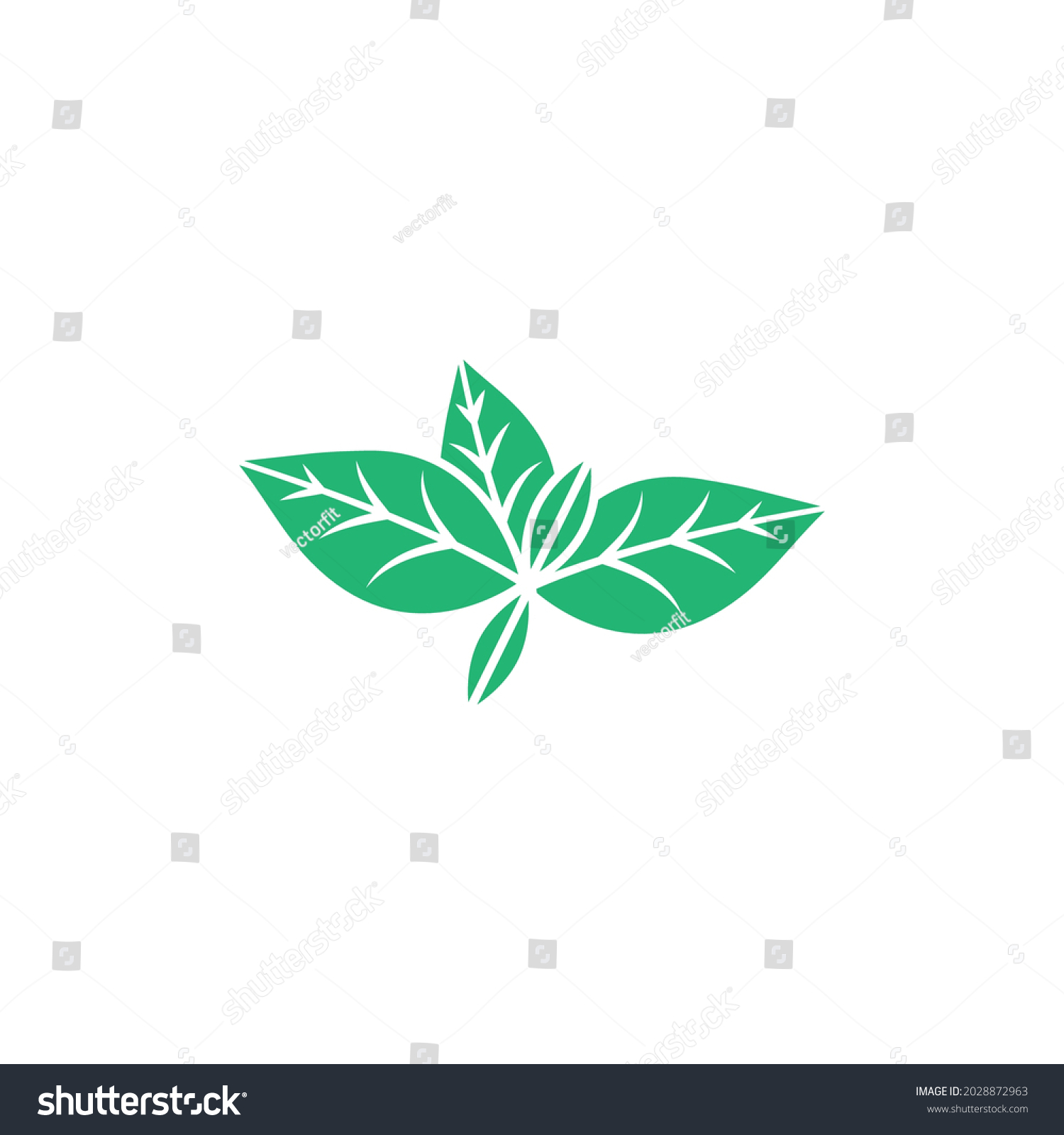 19,673 Basil icons Images, Stock Photos & Vectors | Shutterstock