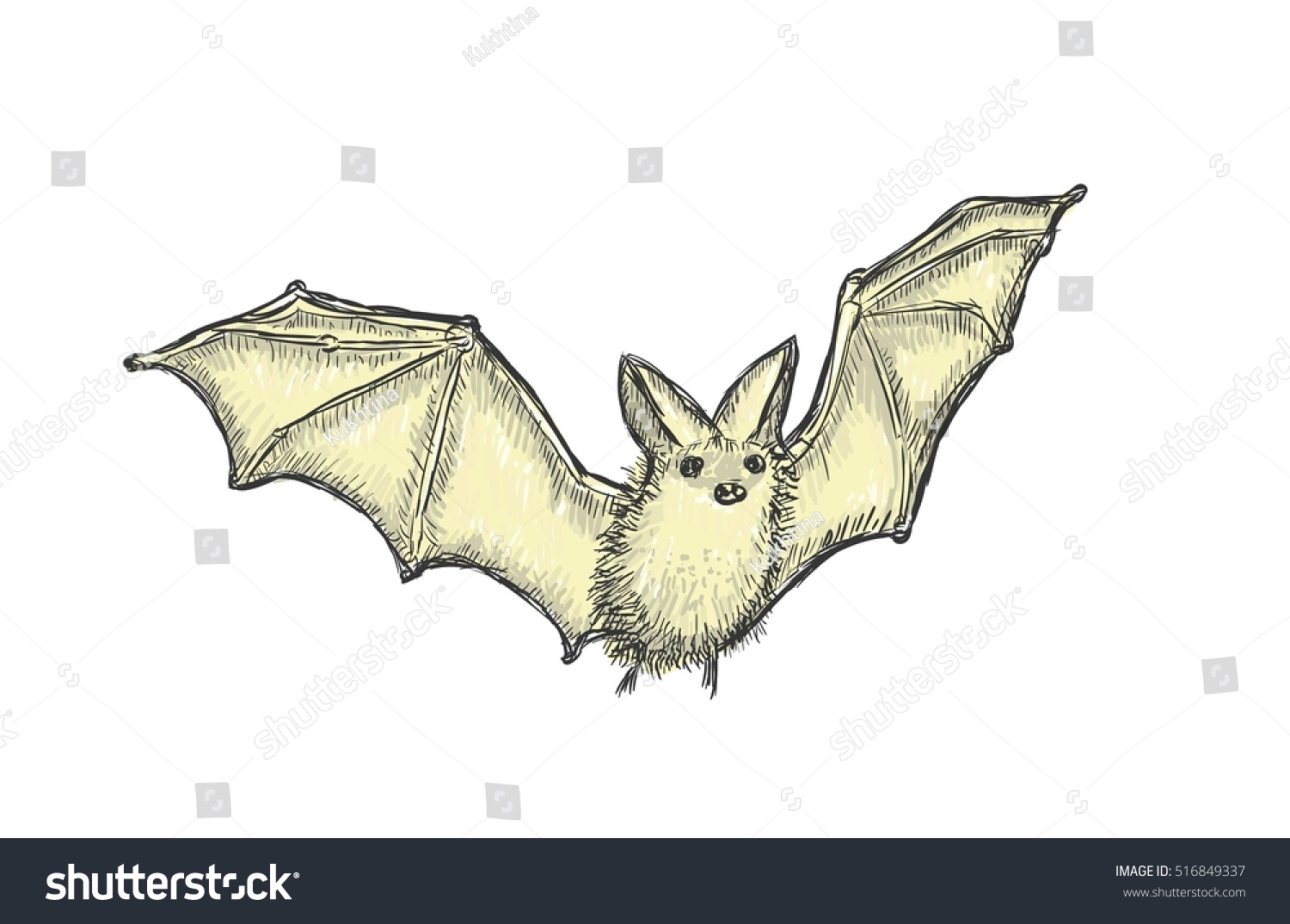 Bat Hand Drawn Stock Vector (Royalty Free) 516849337 | Shutterstock