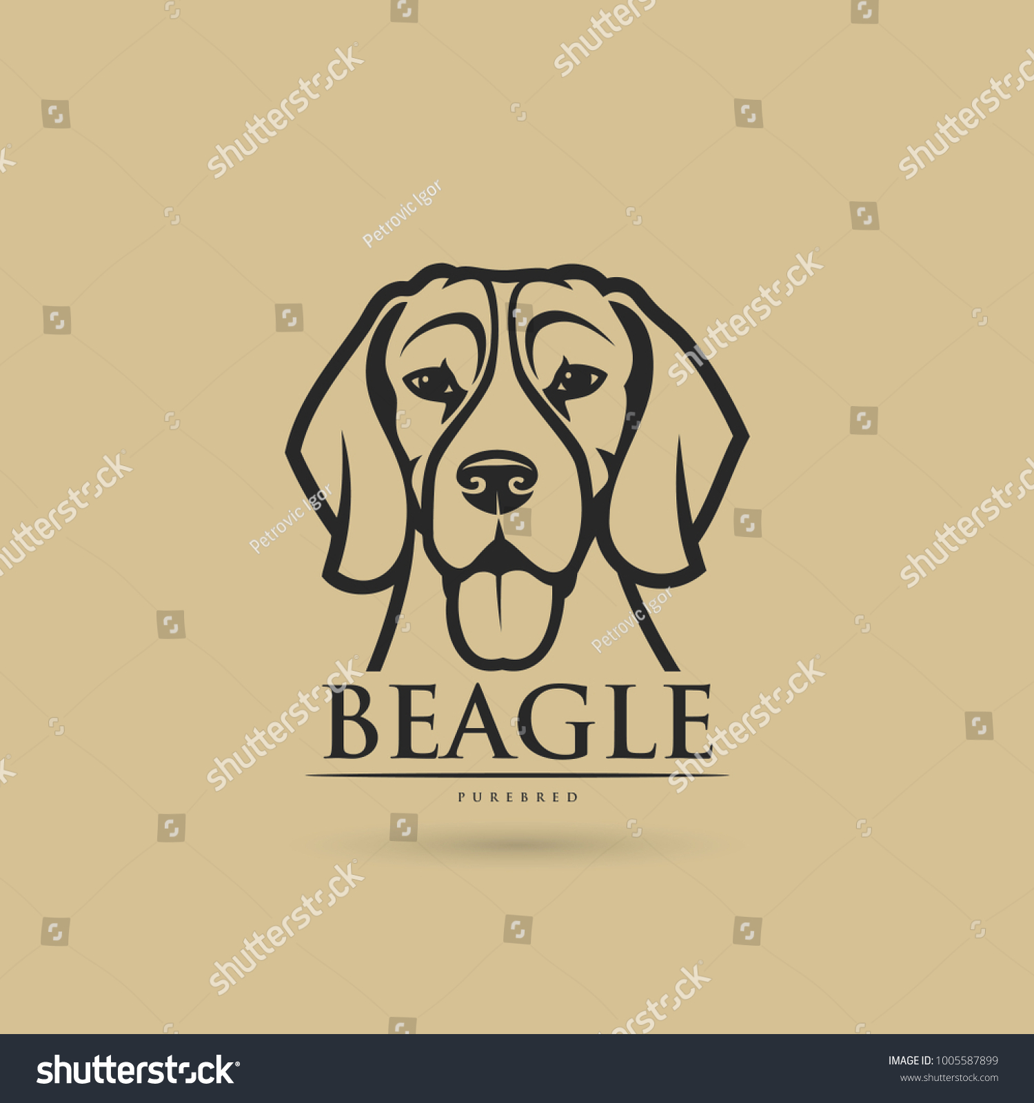 Beagle Images, Stock Photos & Vectors | Shutterstock