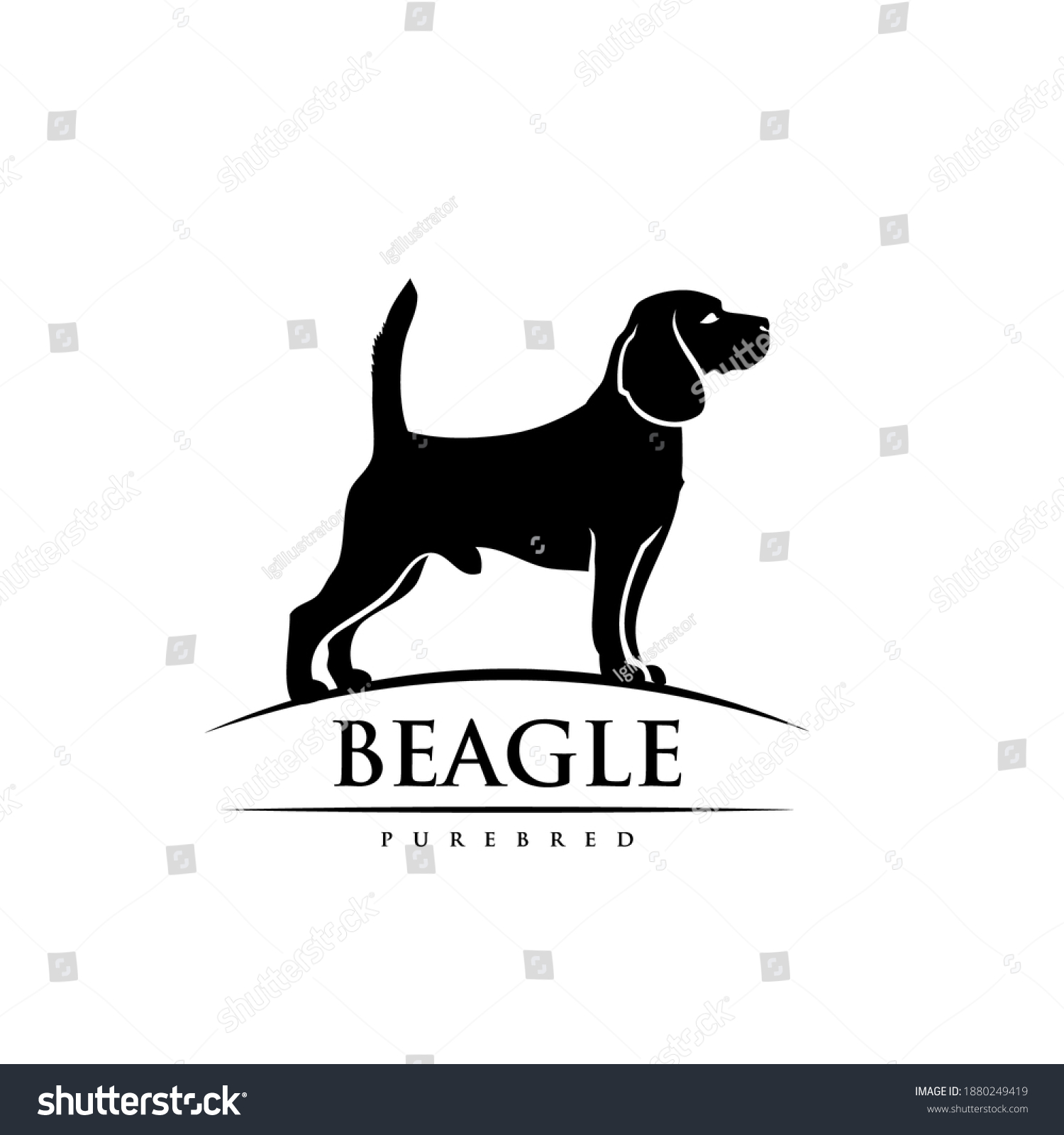 2,668 imágenes de Beagle logo - Imágenes, fotos y vectores de stock ...