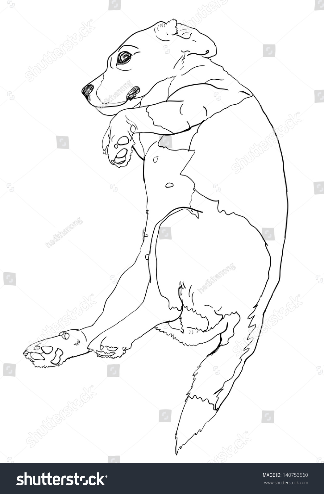 Beagle Laying Down Funny Pose Stock Vector 140753560 - Shutterstock
